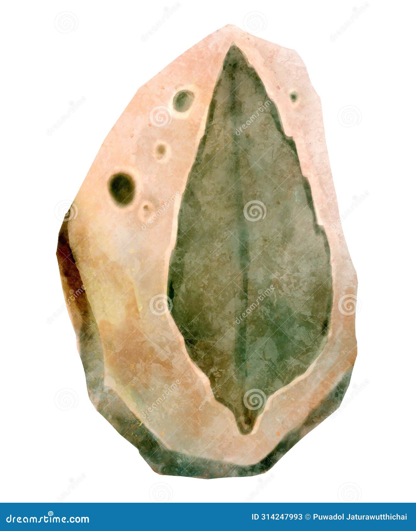 Fossil of Plant in Rock . Watercolor Paint Design Stock Vector ...