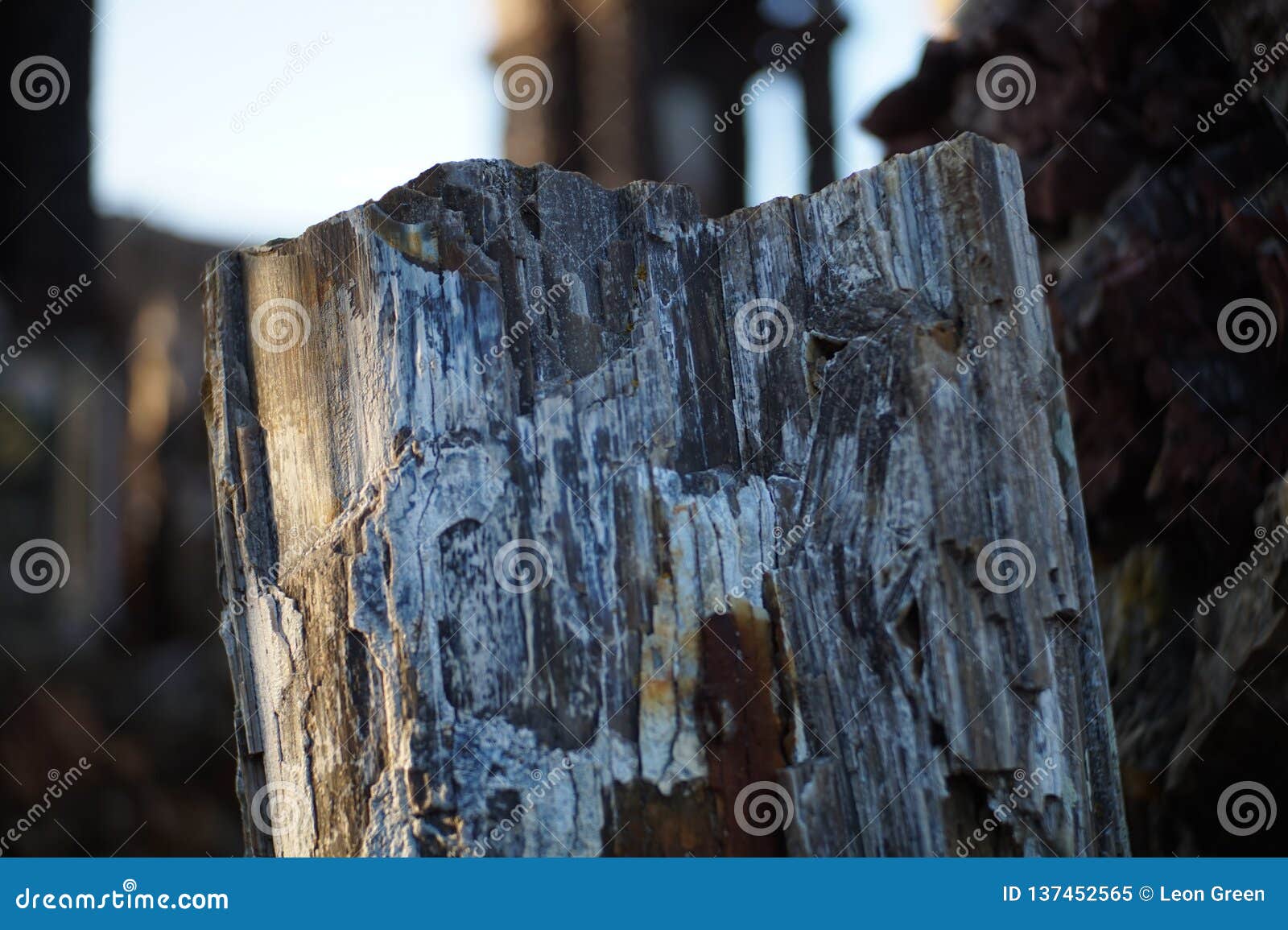 Beautiful Geological Design and Architecture Stock Image - Image of ...