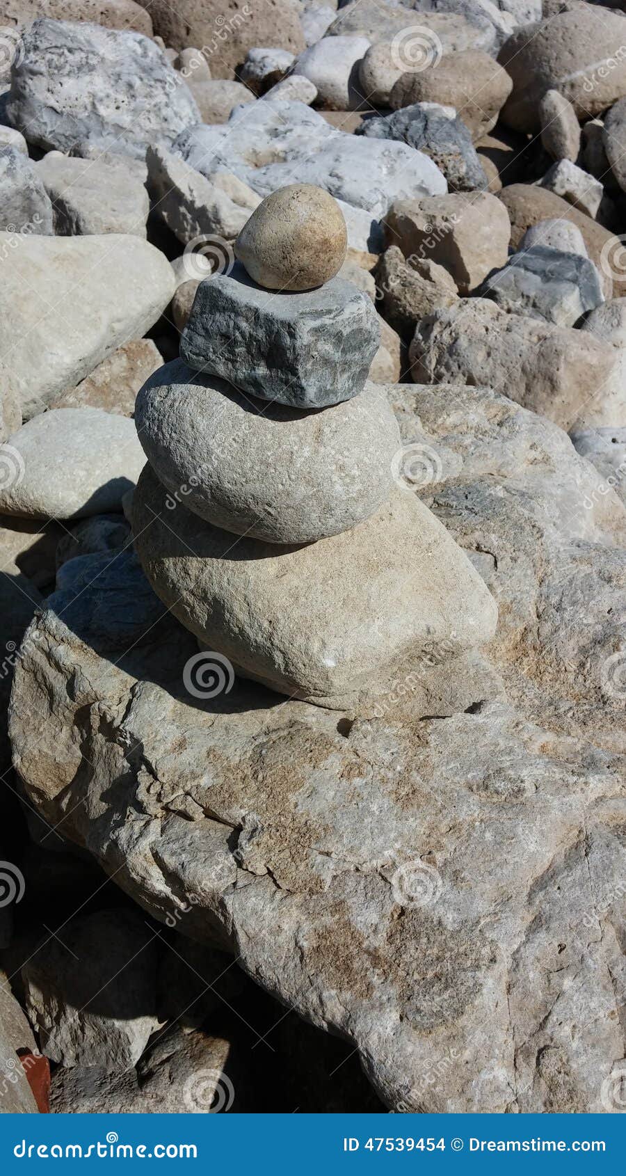 Fossil Rock stock photo. Image of rock, fossil, stone - 47539454