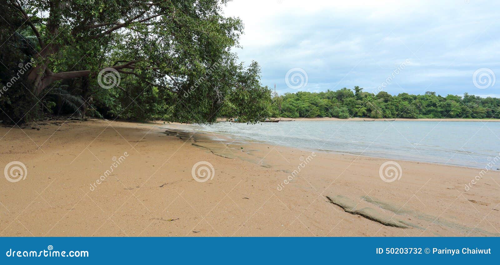 Fossil Shell Beach stock photo. Image of crystal, ancient - 50203732