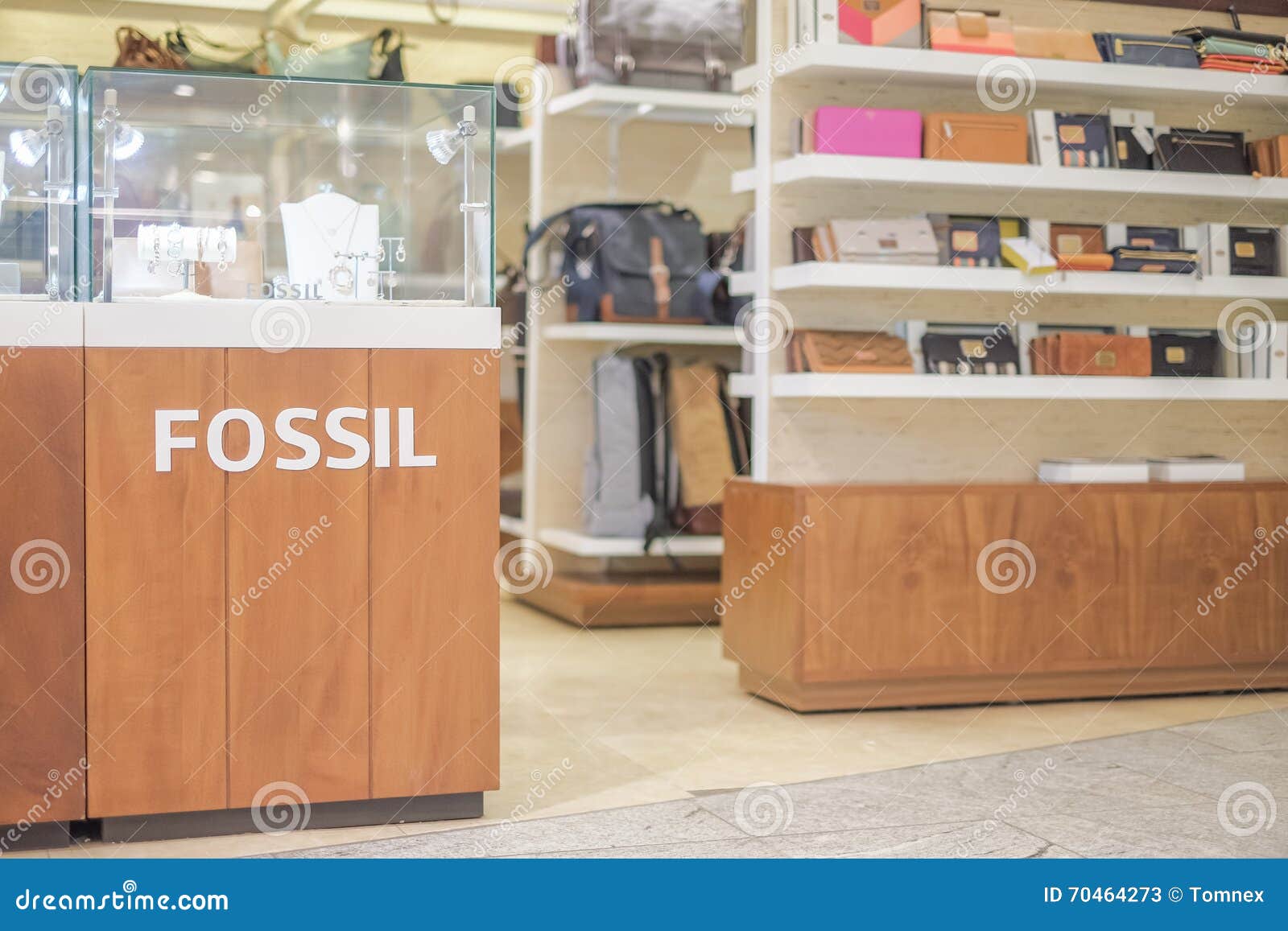 Fossil editorial stock photo. Image of sign, copy, shop - 70464273