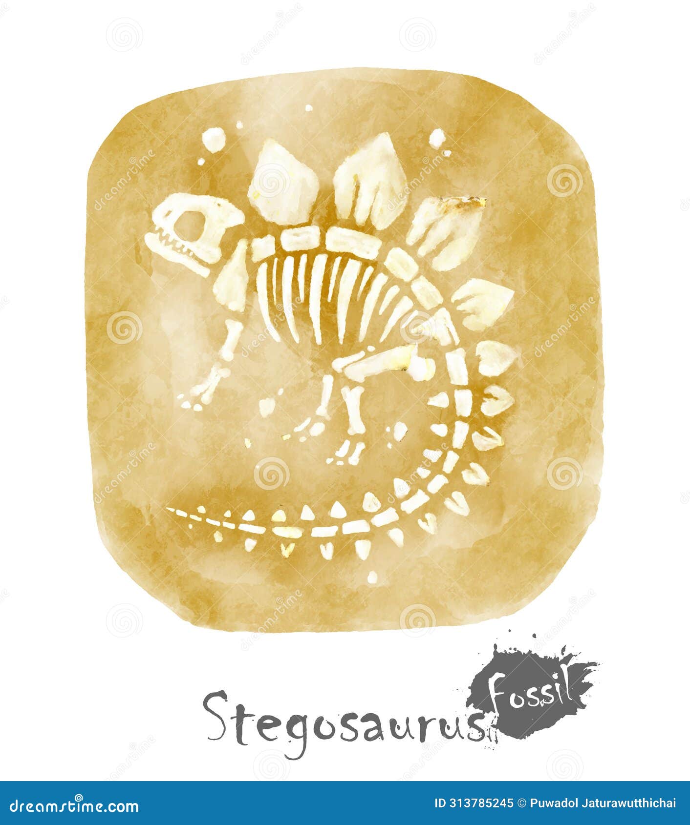 Fossil of Stegosaurus Dinosaur in Rock . Watercolor Paint Design Stock ...
