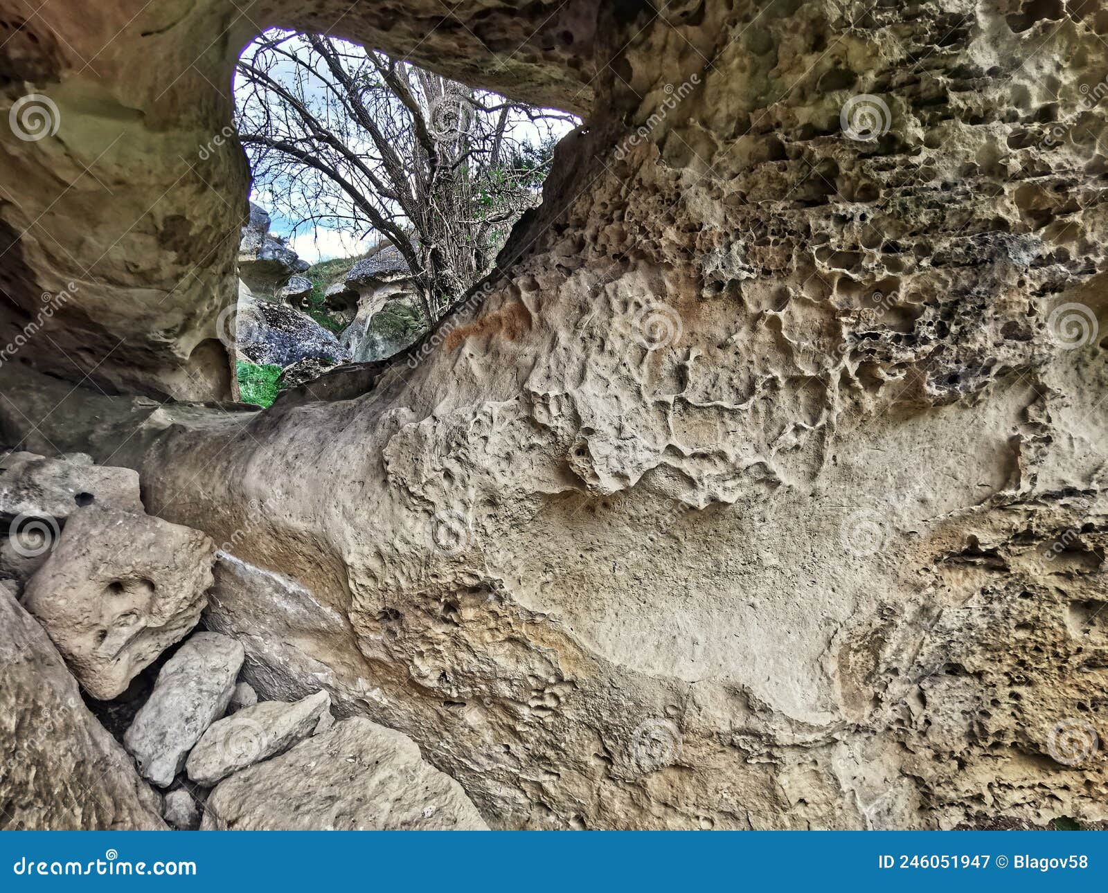 Fossil Structure Protruding at the Sandstone Arch Column Stock Image ...
