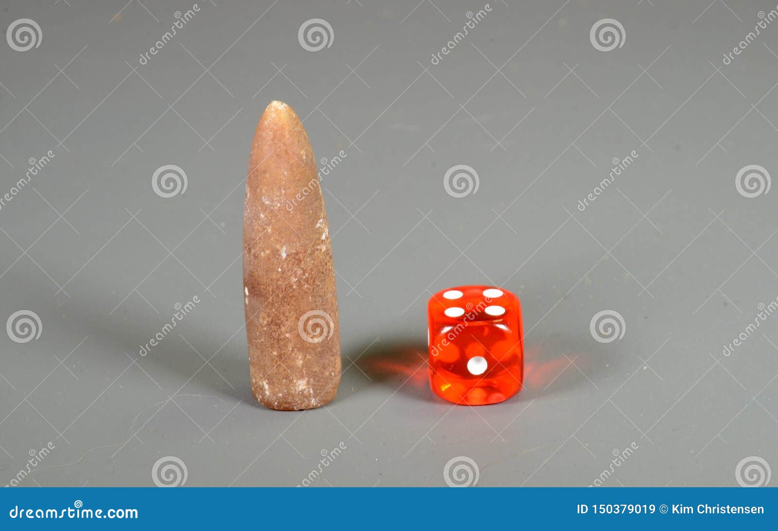 Fossile of Belemnite stock image. Image of history, thunderstone ...