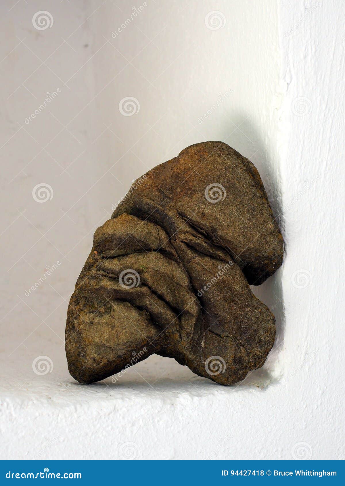 Dinosaur Poop. Royalty-Free Stock Photo | CartoonDealer.com #57252447