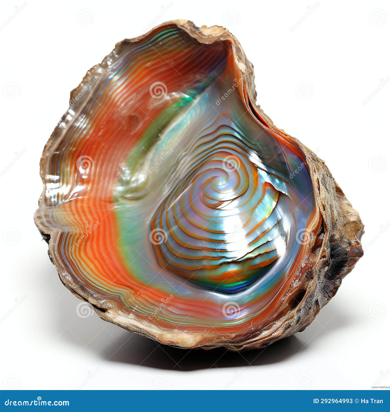 Fossilized Agate Stock Illustrations – 2 Fossilized Agate Stock ...