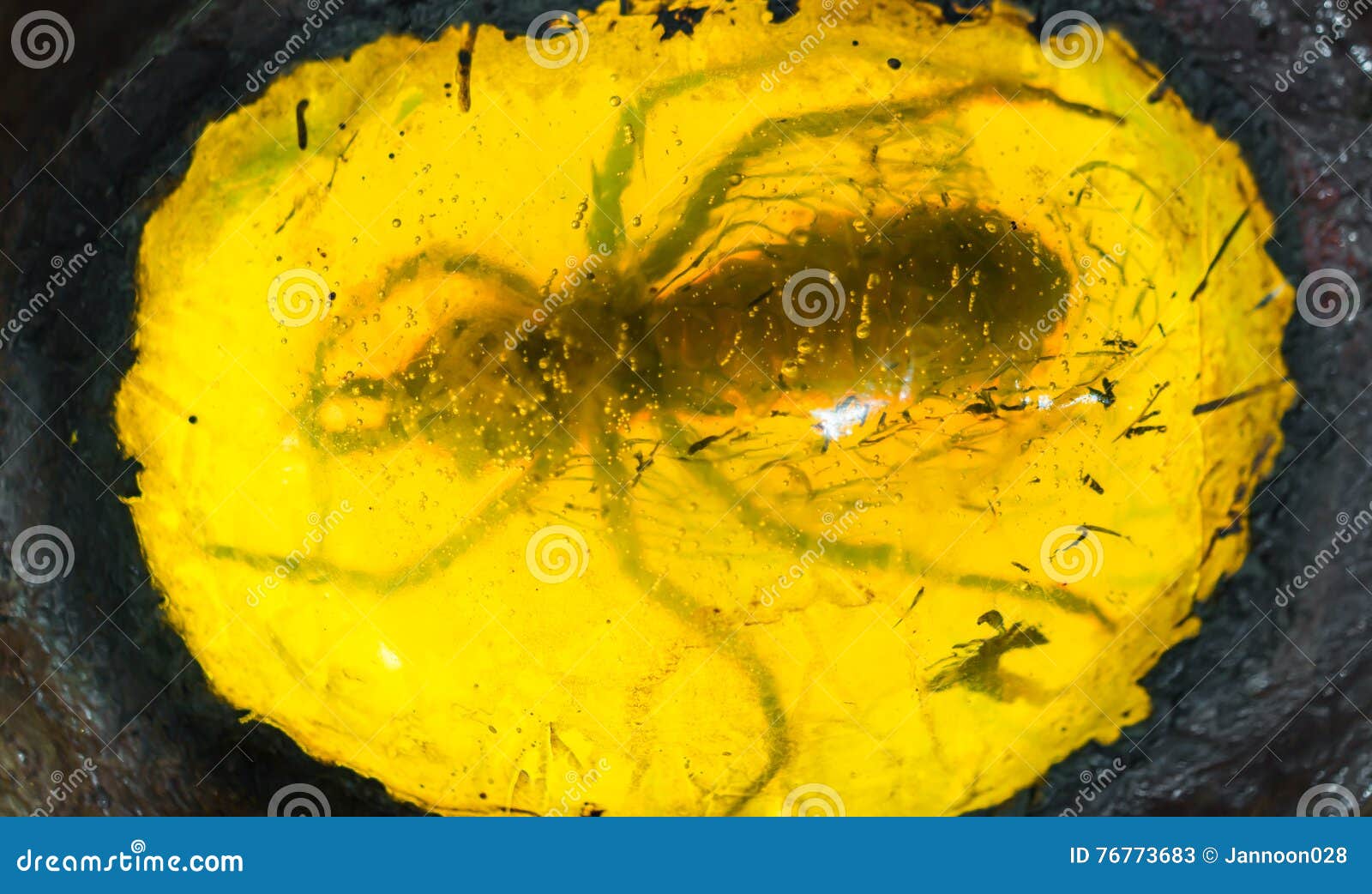 Fossilized Baltic Amber with Insect Inside . Stock Image - Image of ...