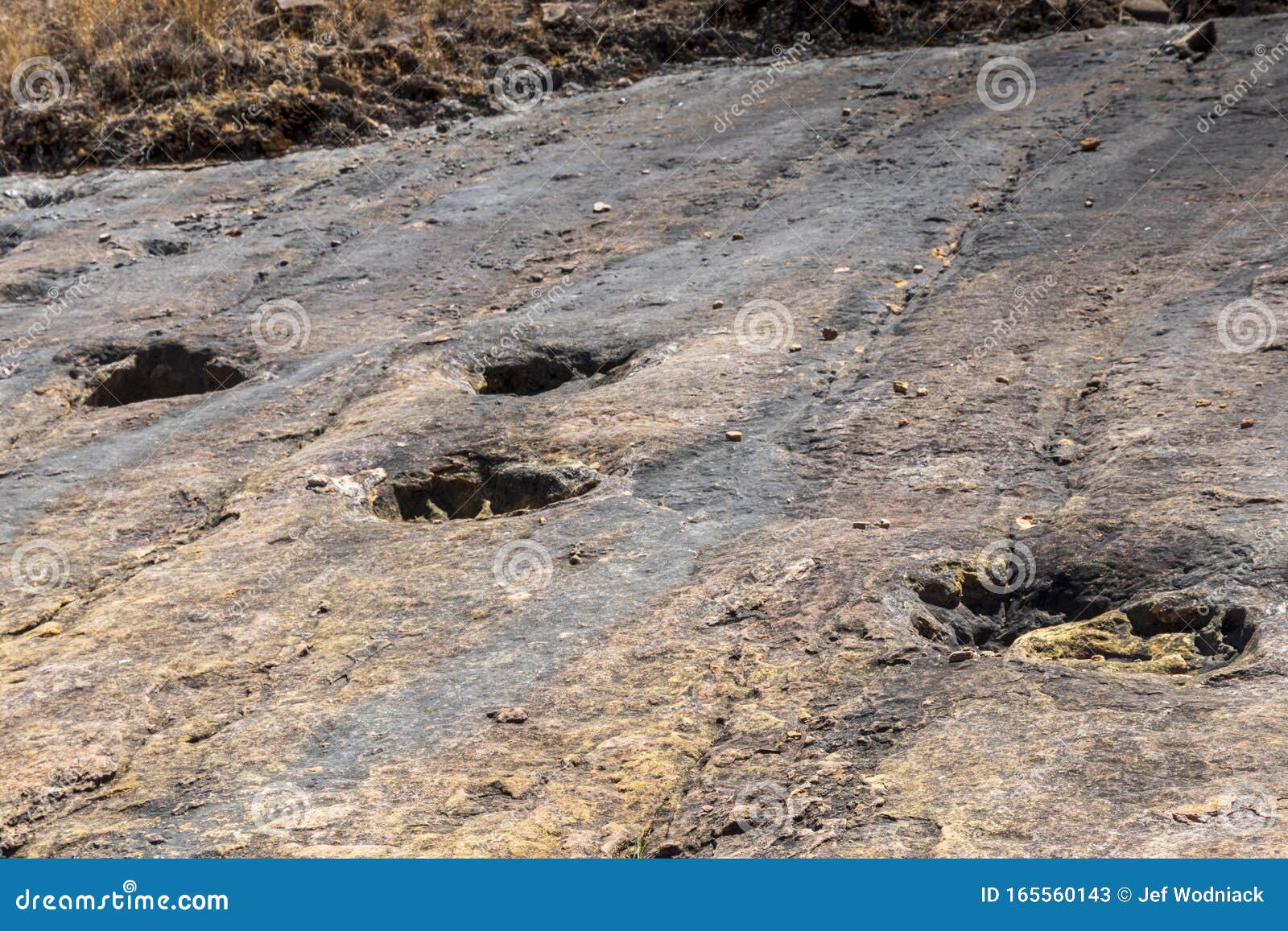 Fossilized Dinosaur Tracks at Torotoro, Bolivia. Stock Image - Image of ...