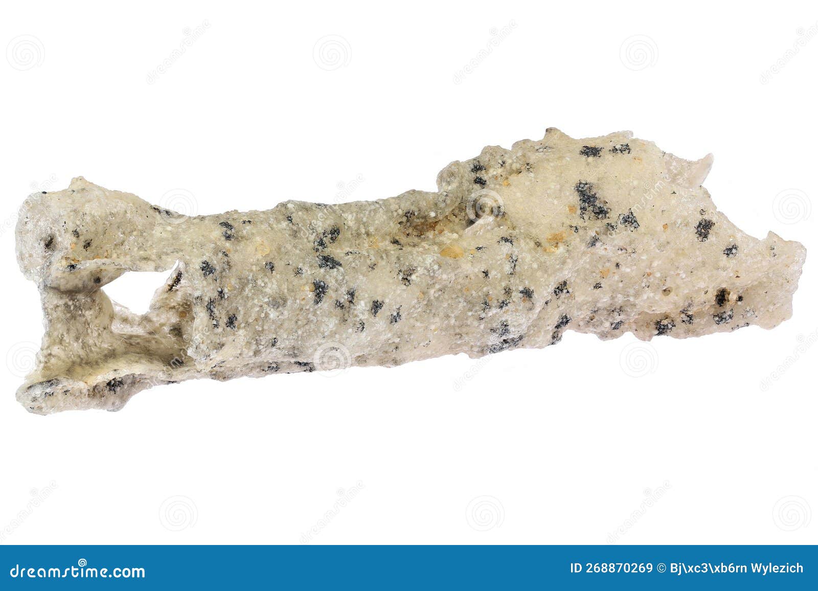 Fulgurite stock image. Image of fulgurite, rock, fossilized - 268870269