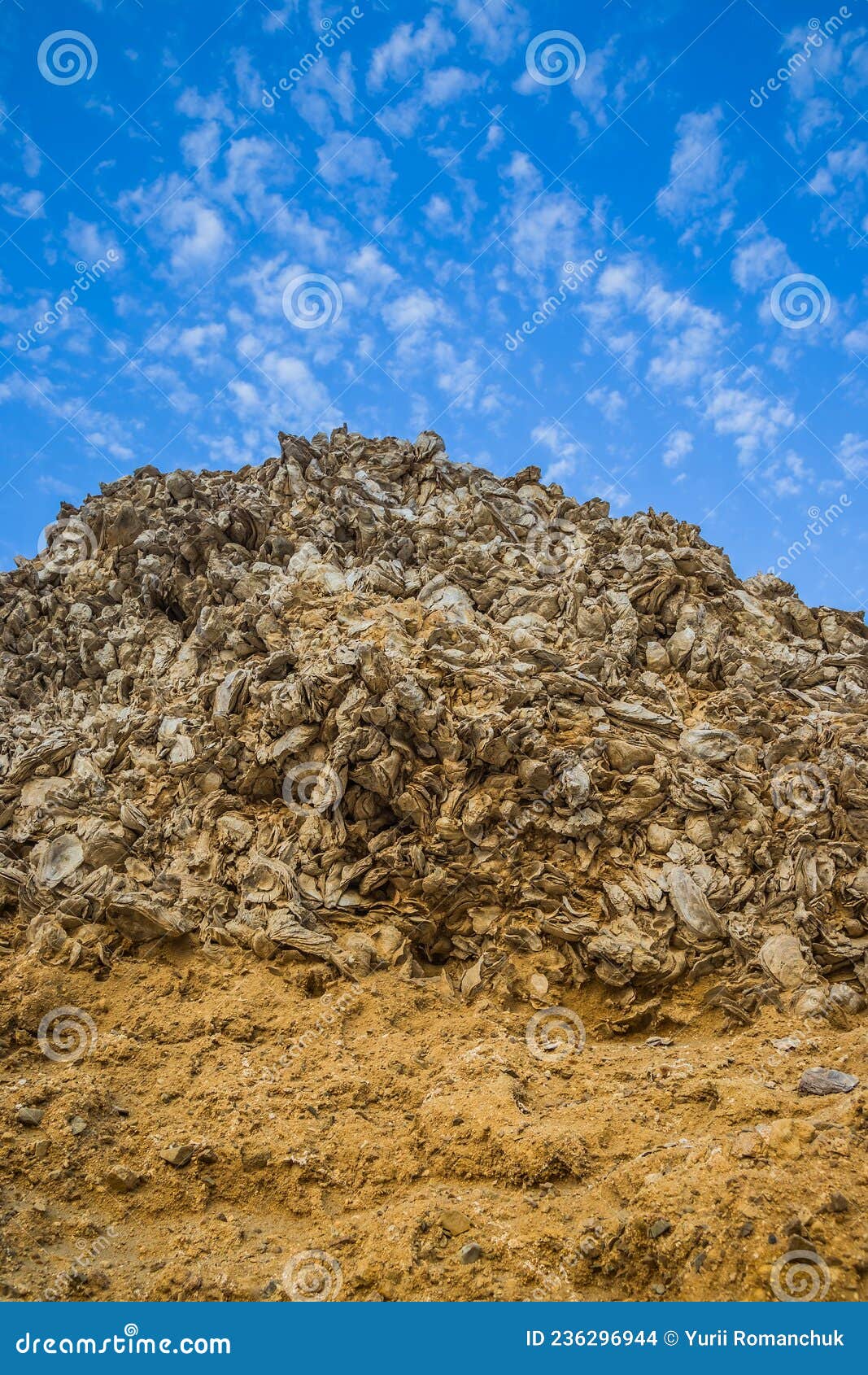 Fossilized Seashells in the Desert. a Hill of Fossilized Seashel Stock ...