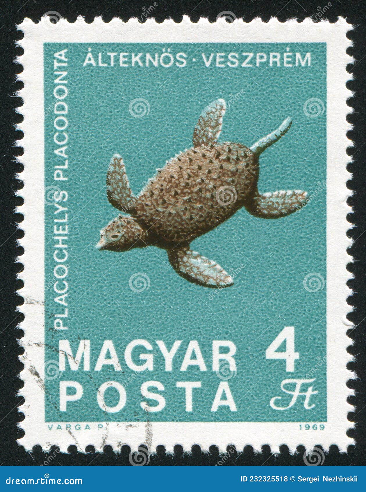 Fossilized turtle editorial stock photo. Image of reptile - 232325518