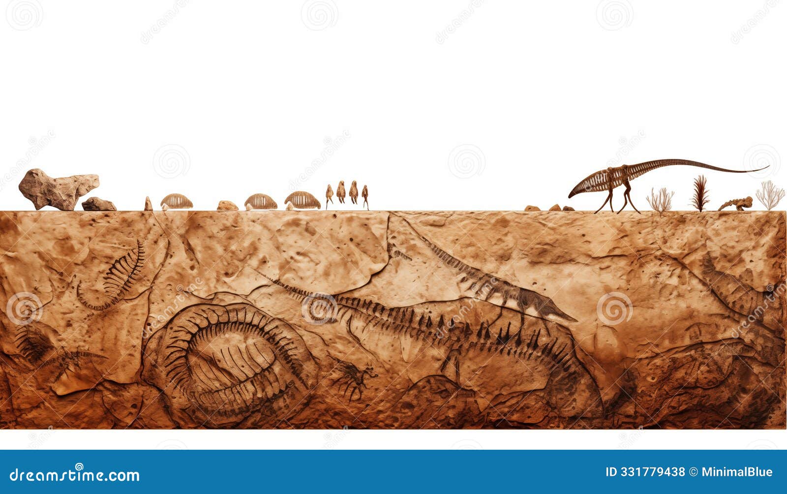 Fossils and Ancient Creatures Displayed in Sediment Layers Stock ...