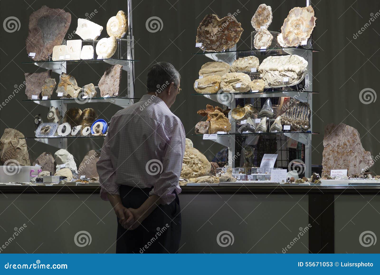 Fossils exhibition editorial stock photo. Image of skeleton - 55671053