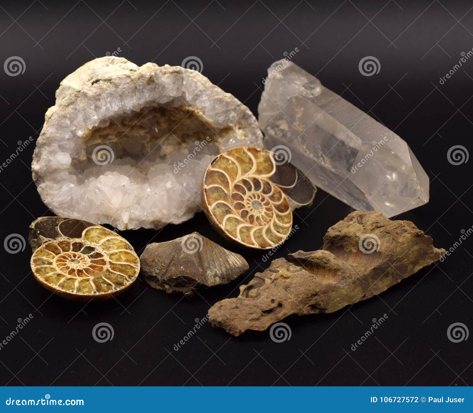 Fossils and Gems on Black Background Stock Photo - Image of excavate ...