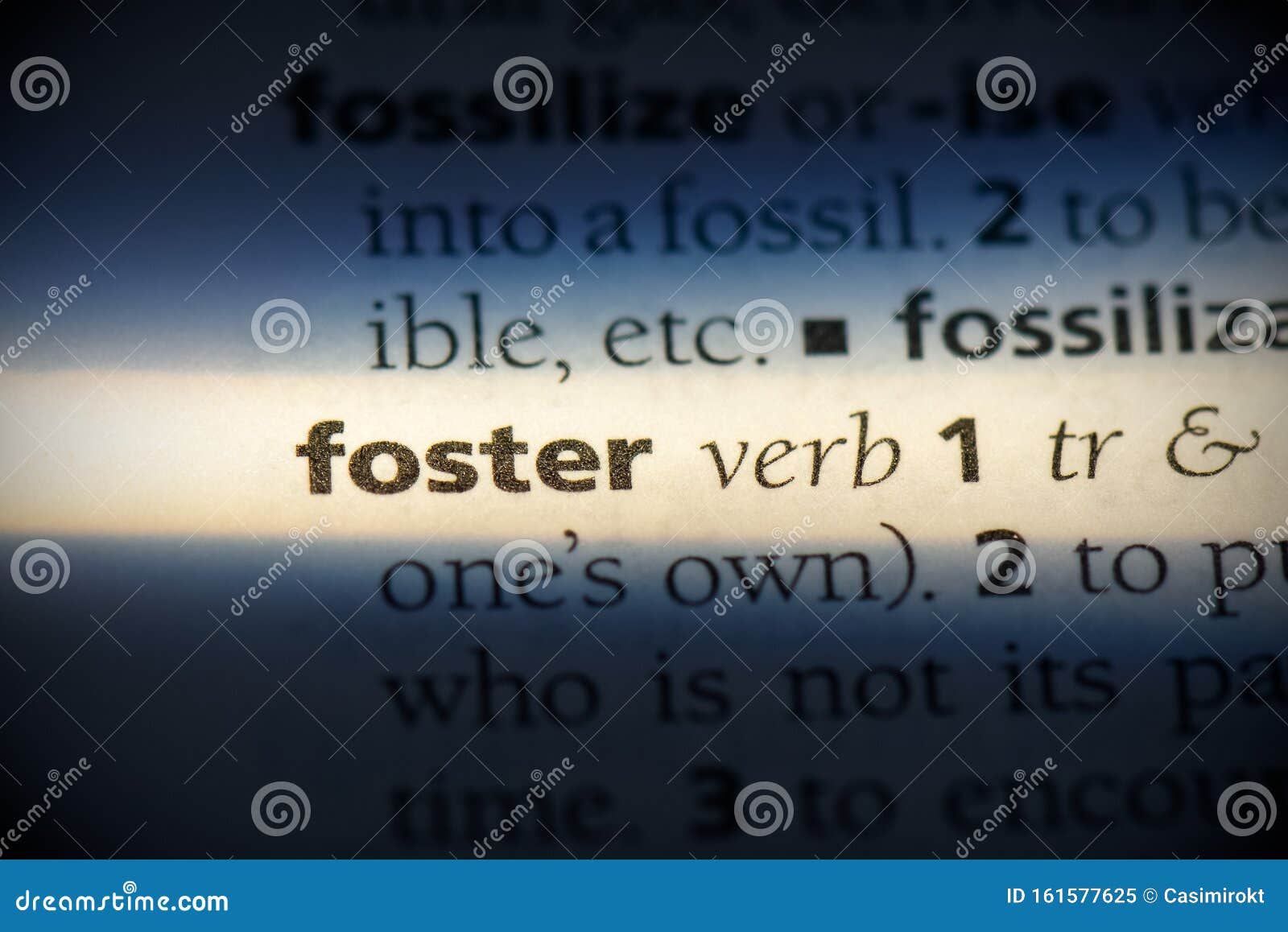 Foster stock image. Image of printed, linguistic, page - 161577625