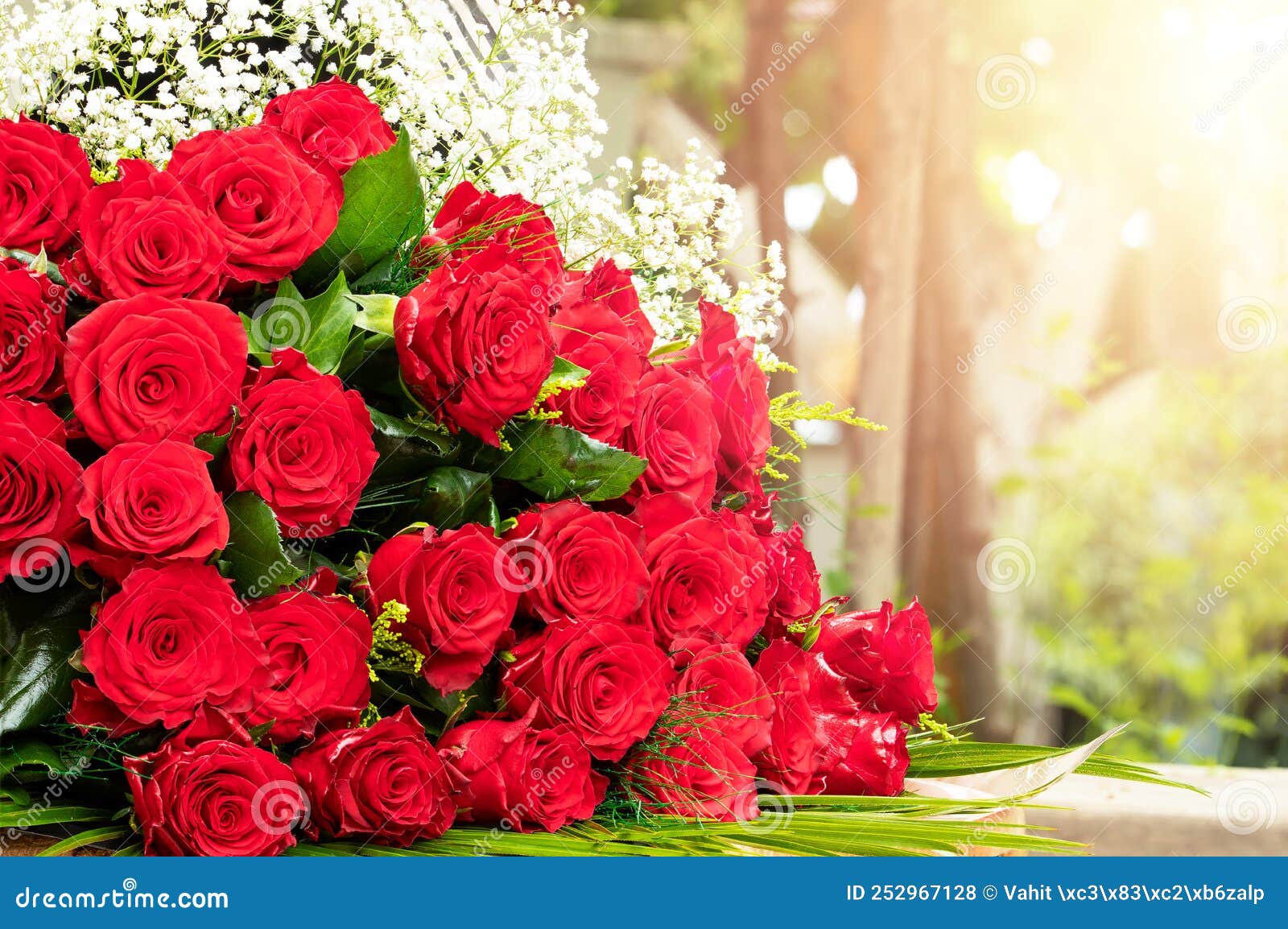 Foto De Cierre De Rosas Rojas Foto de archivo - Imagen de amor, primer ...