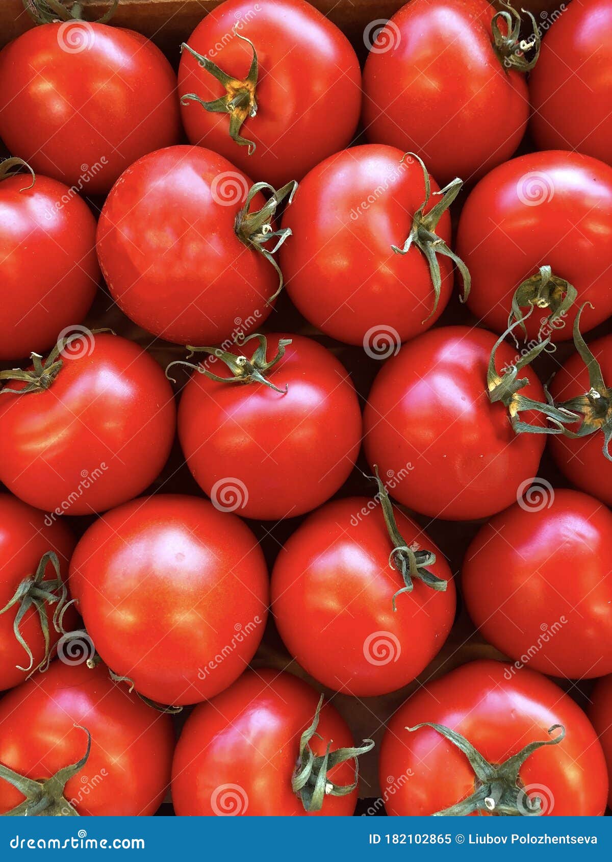 Foto De Muchos Tomates En El Supermercado Imagen de archivo - Imagen de ...