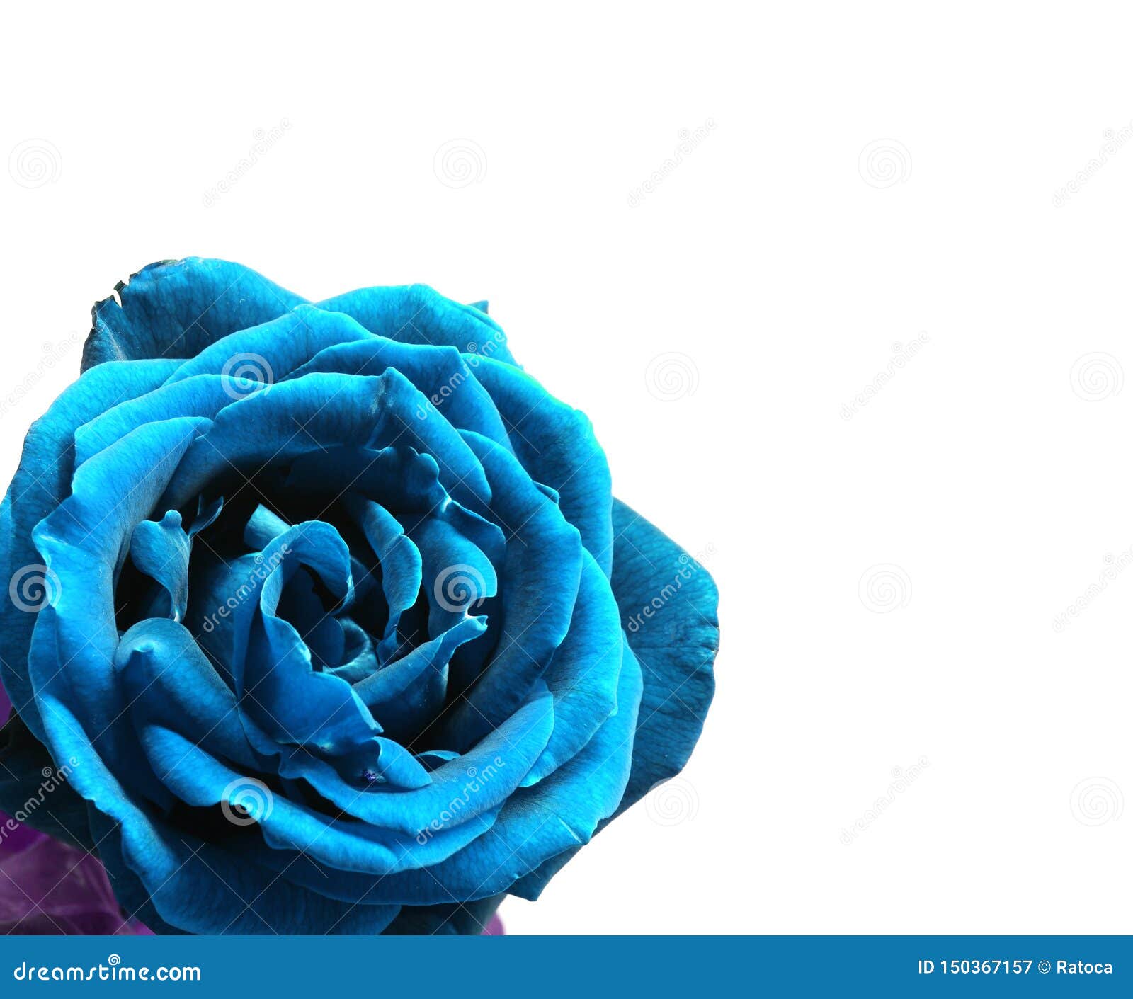 Foto rosa blu piacevole immagine stock. Immagine di nave - 150367157