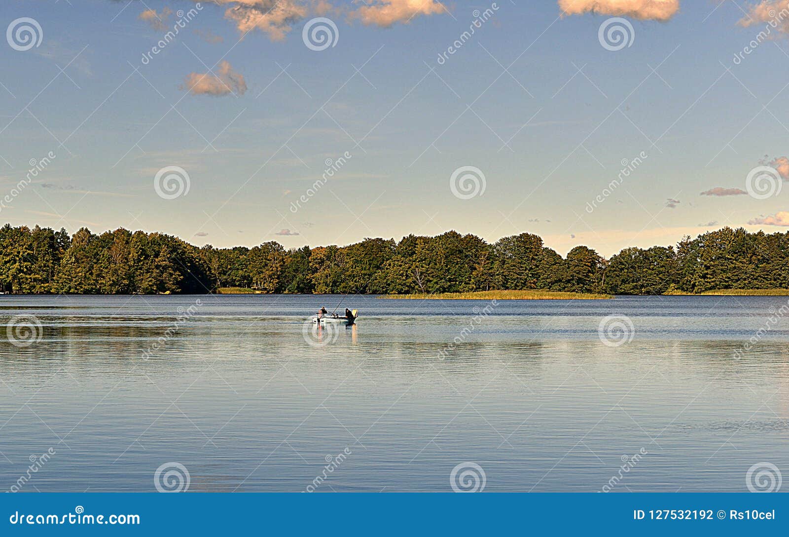 Foto van Meer in het bos stock foto. Image of openlucht - 127532192