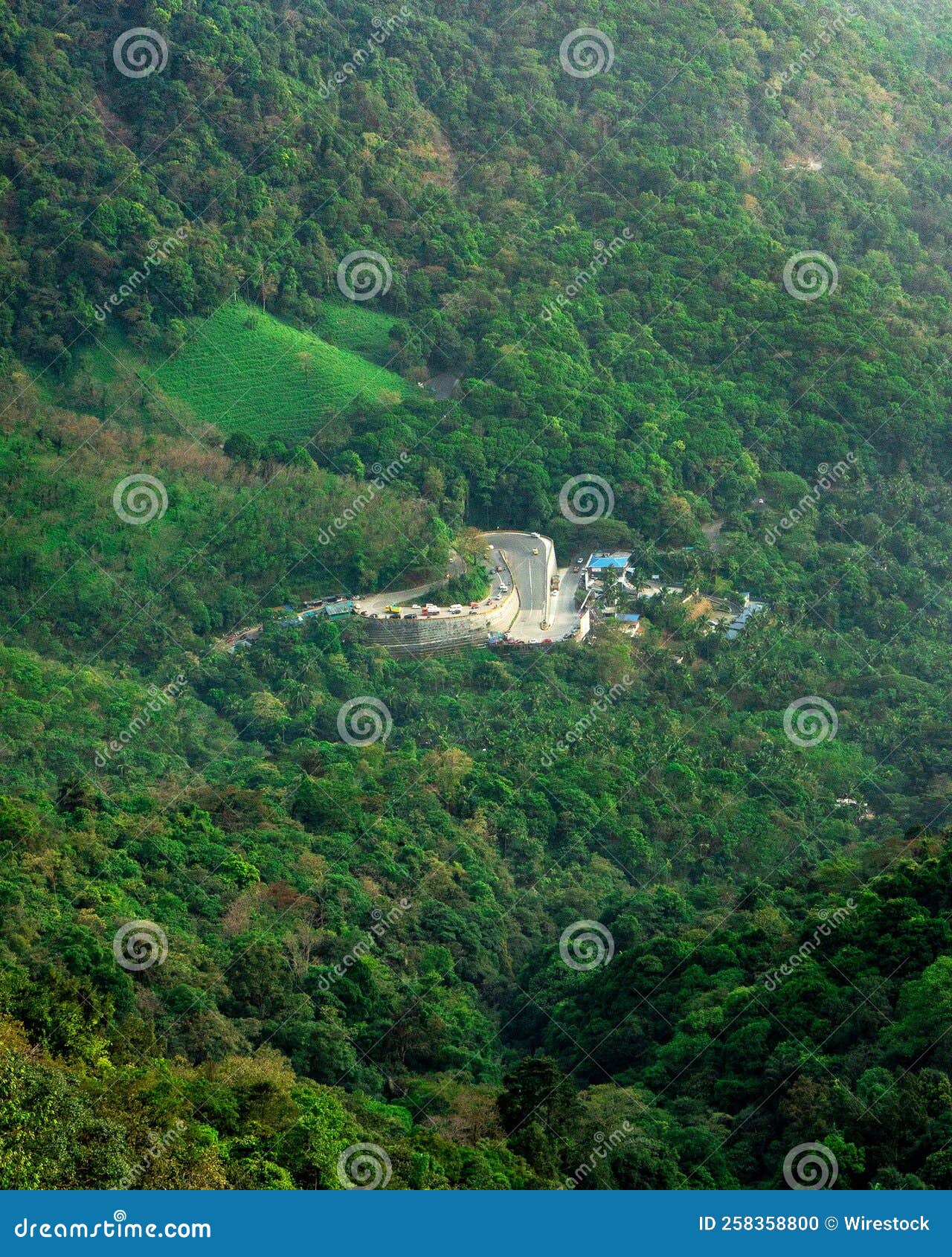 Foto Vertical De Una Selva Tropical Foto de archivo - Imagen de ...