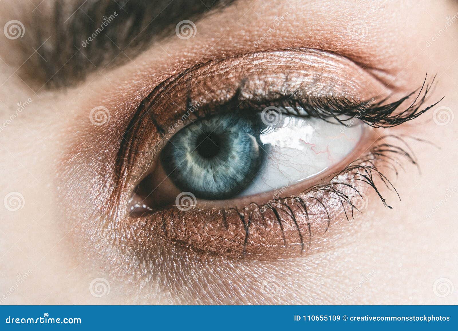 Fotografia Persona Occhi Blu Immagine. Immagine: 110655109