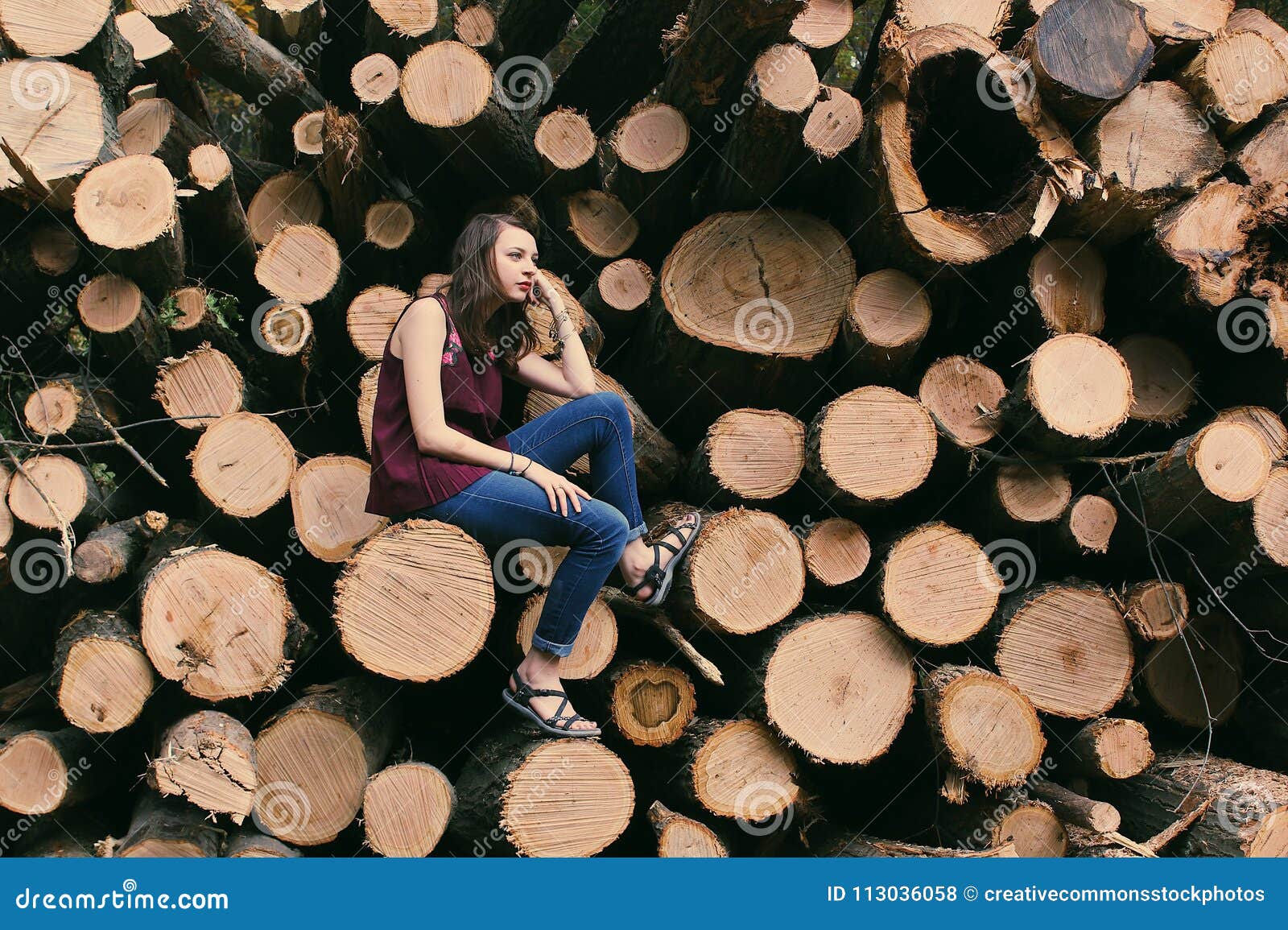 Fotografie Einer Frau Auf Einem Protokoll Bild. Bild: 113036058