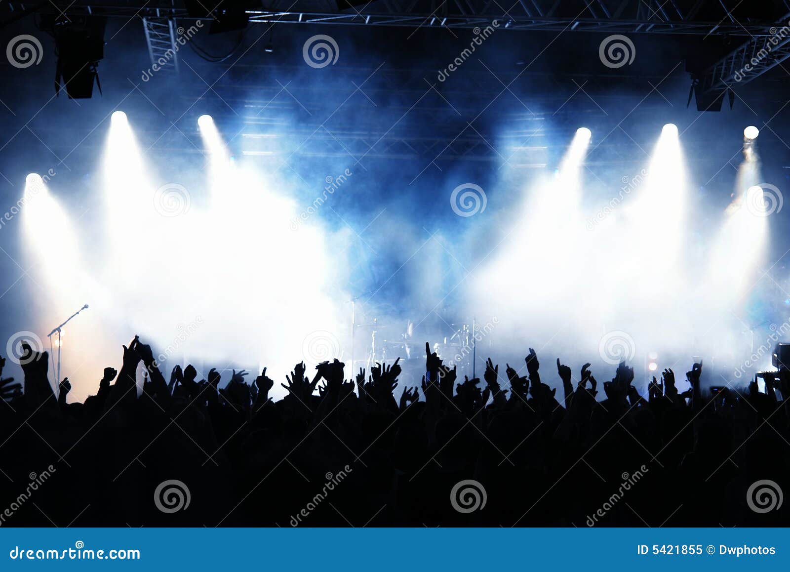 Foule de concert image stock. Image of vivant, musique - 5421855