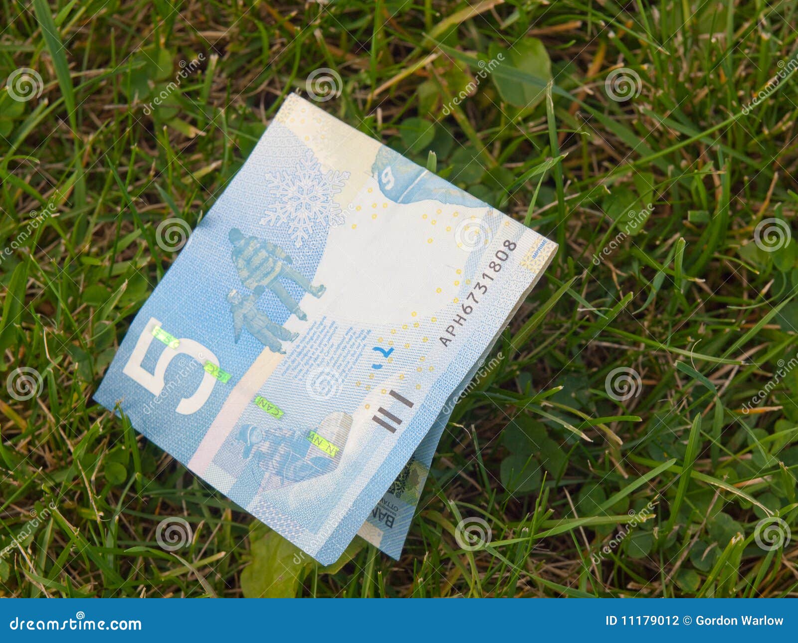 Found Money stock photo. Image of macro, money, finance - 11179012