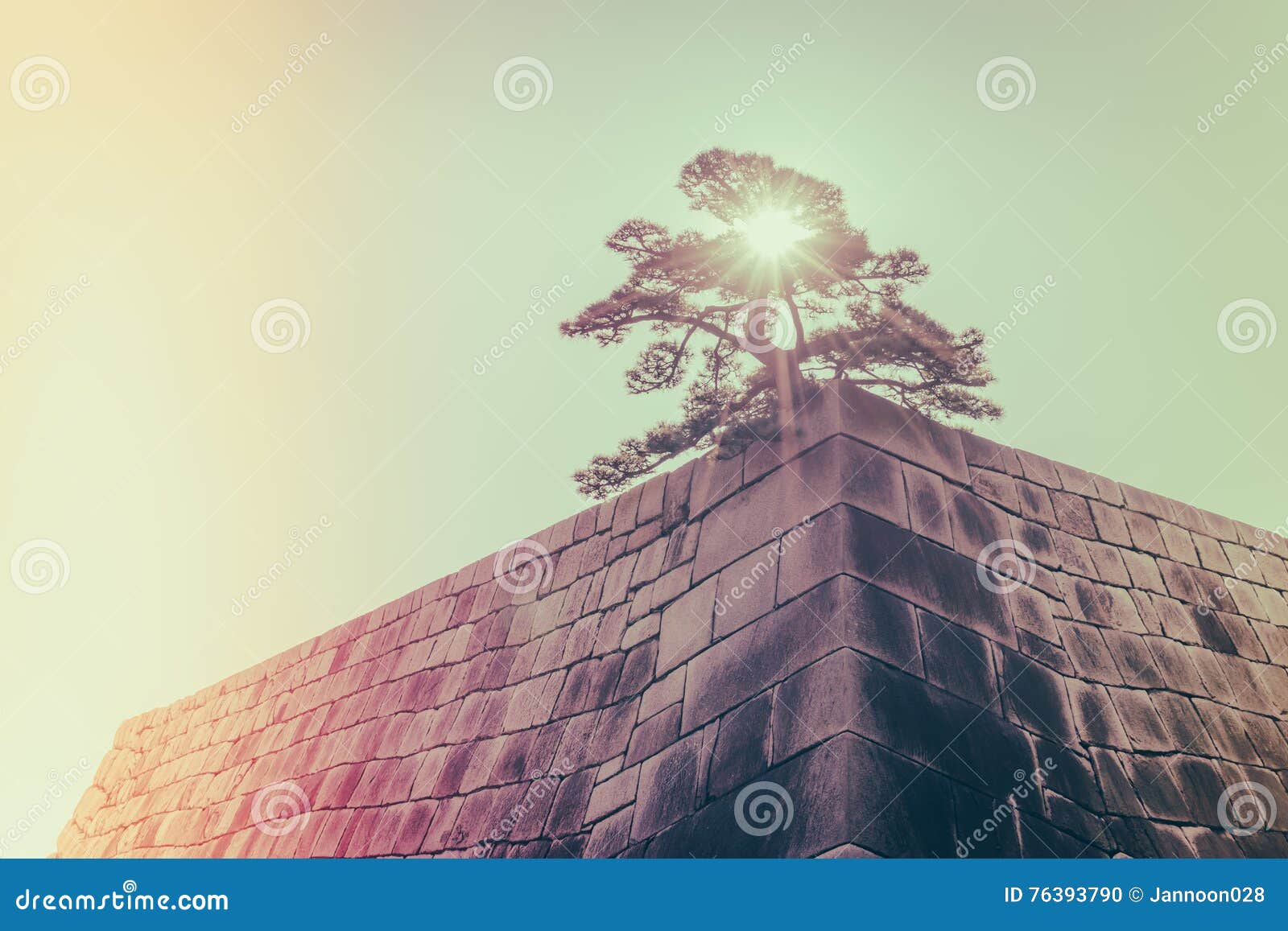 The Foundation of a Castle Tower of the Edo-jo Castle,Japan ( F Stock ...