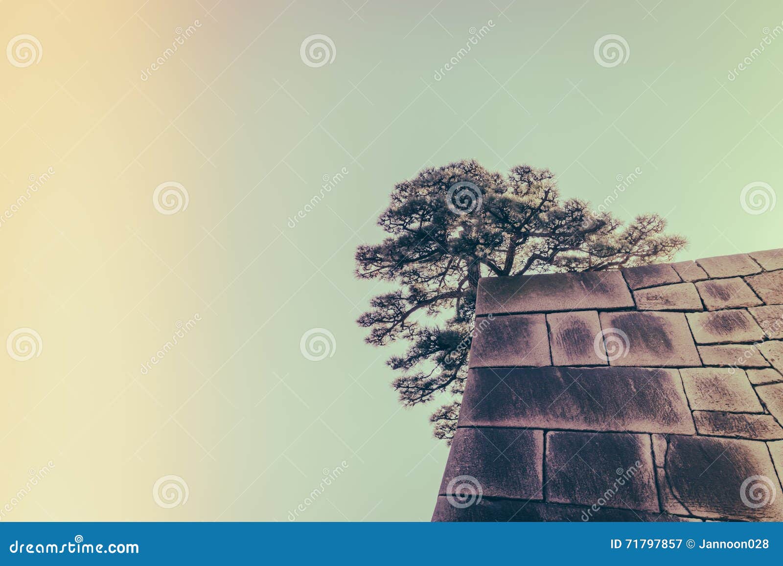 The Foundation of a Castle Tower of the Edo-jo Castle,Japan Stock Image ...