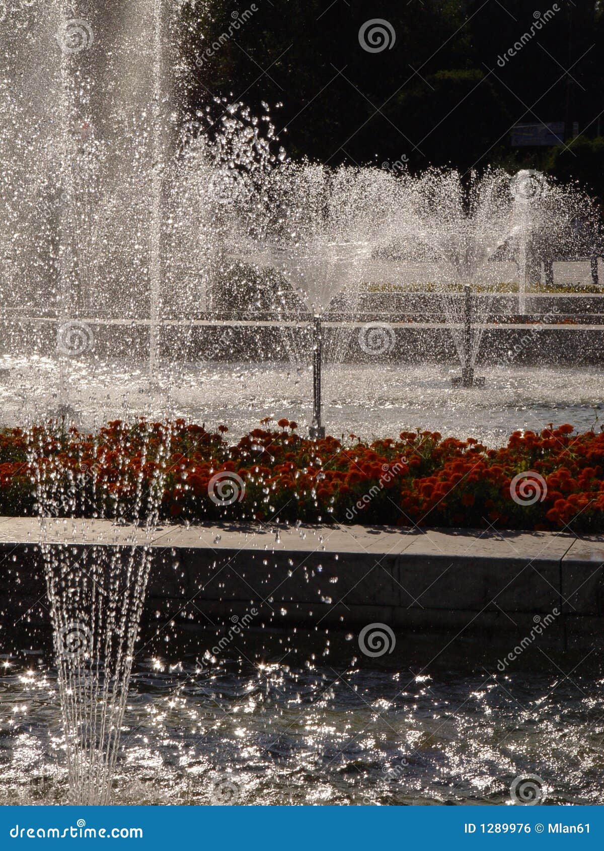 Fountain Spraying Water Backlit Sun Photos - Free & Royalty-Free Stock ...