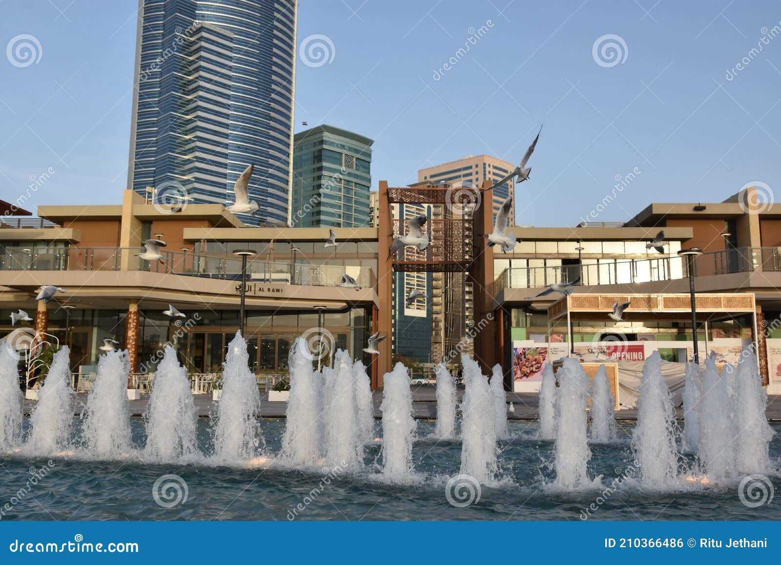 Fountain at Al Majaz Waterfront in Sharjah, UAE Editorial Photo - Image ...