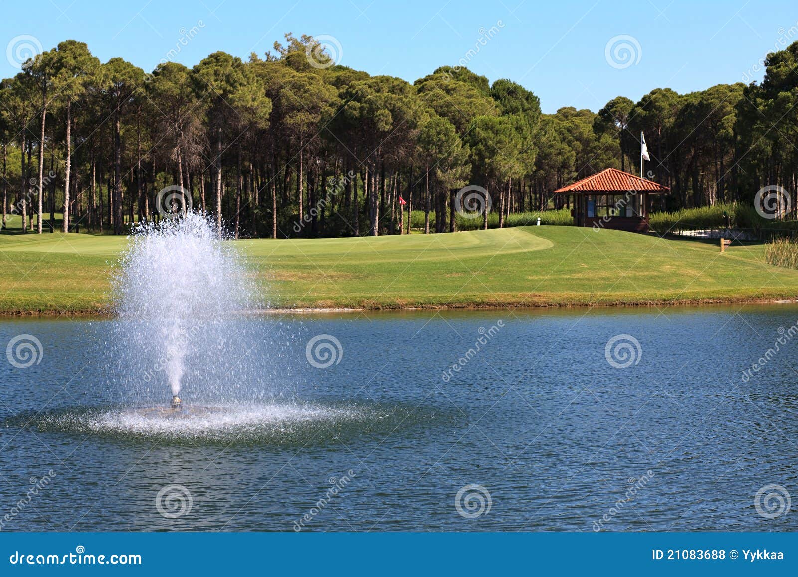 Fountain in the Artificial Pond. Stock Photo - Image of fountain, pine ...