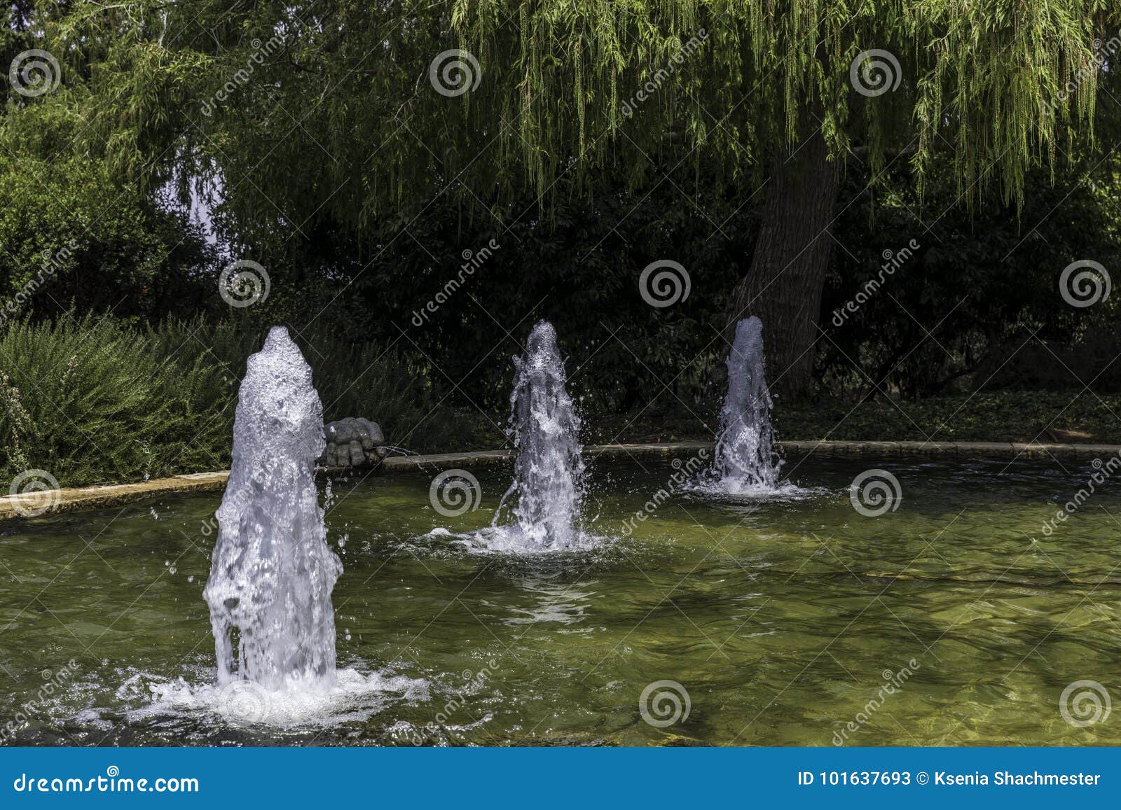Fountain basin in park stock image. Image of spring - 101637693