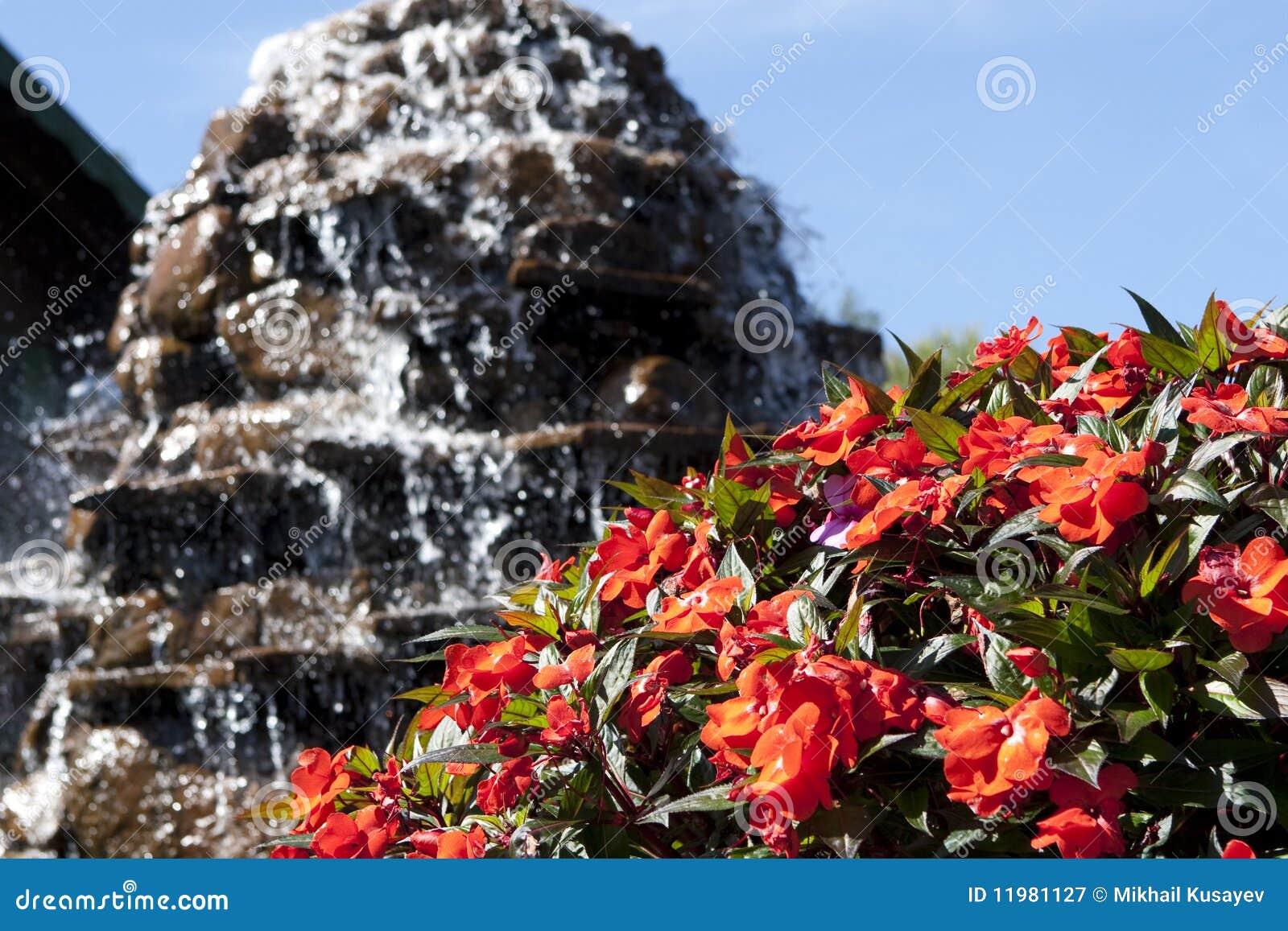Fountain with Beautiful Flowers Stock Image - Image of flowing, bush ...