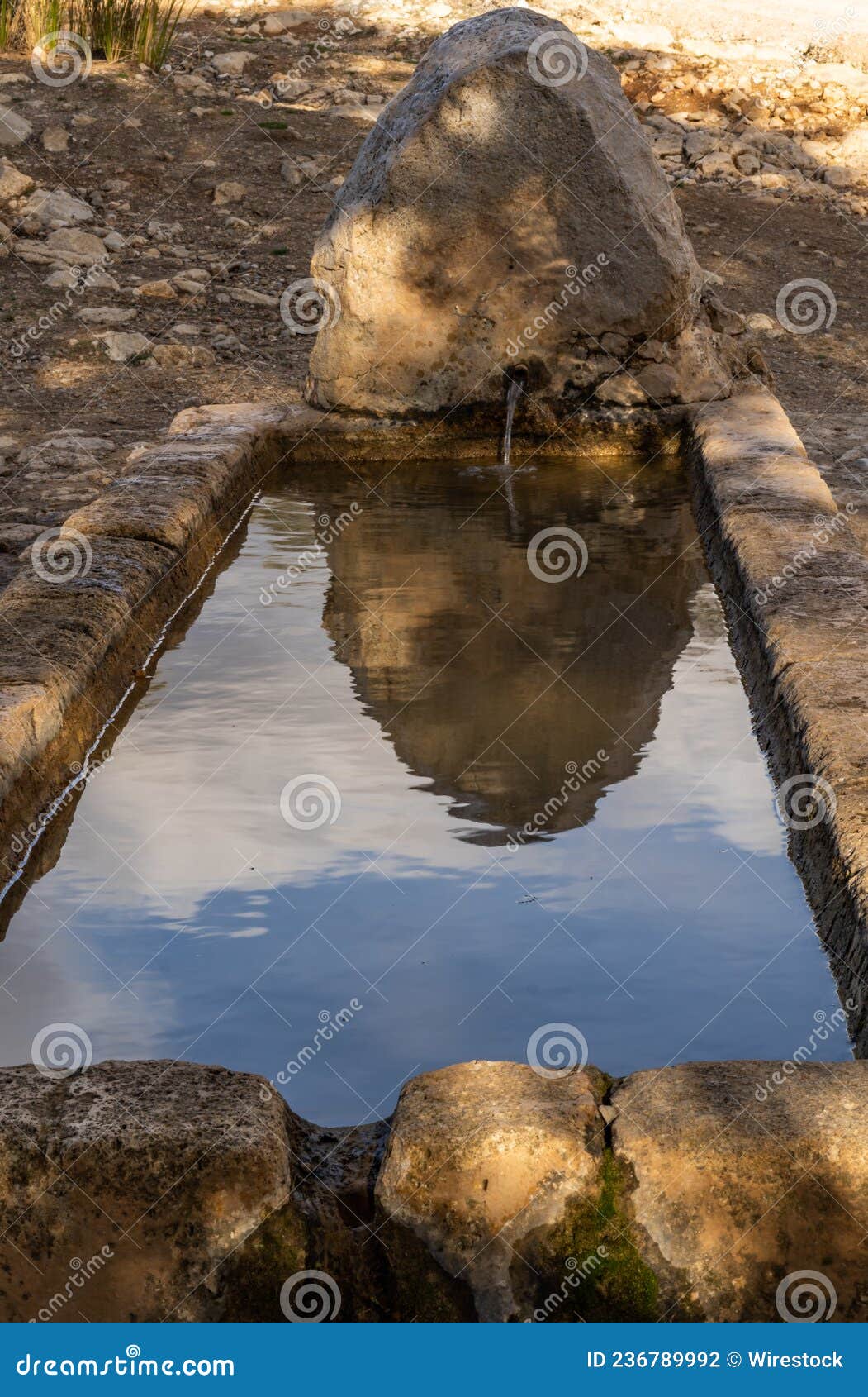 Fountain, Cattle Watering Place in the Forest Stock Photo - Image of ...