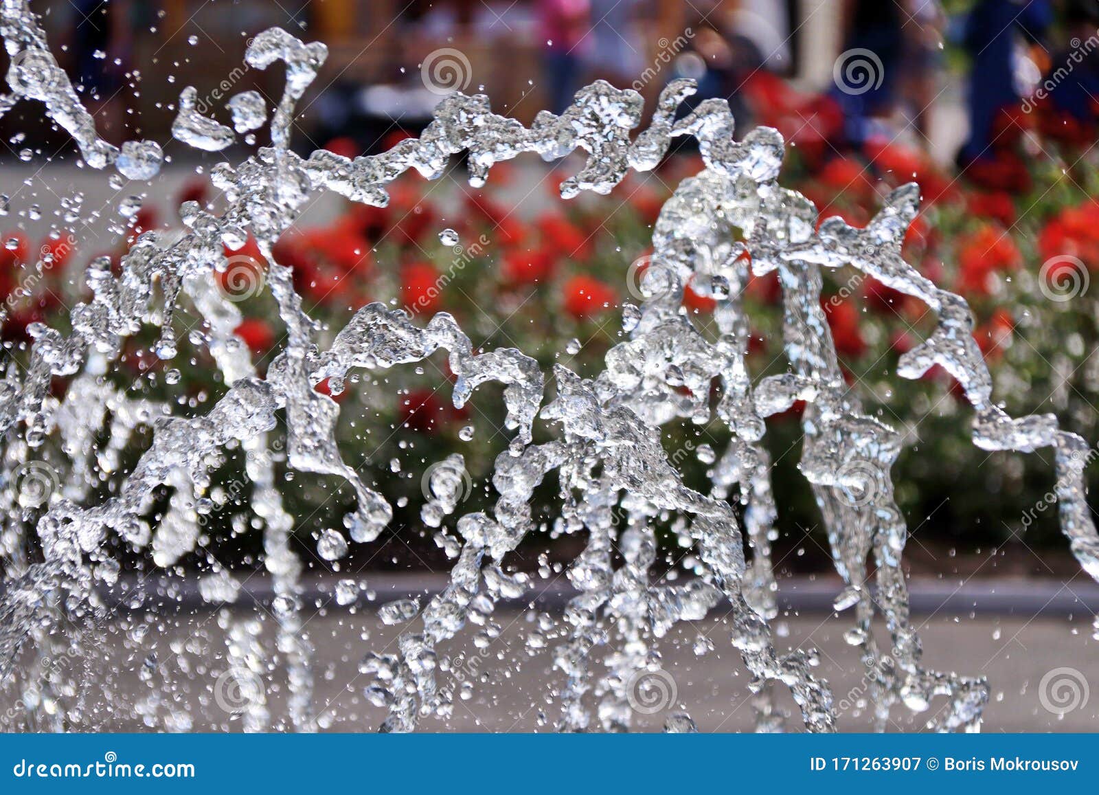 Fountain Close-up of Water Droplets Flowers Background Stock Image ...
