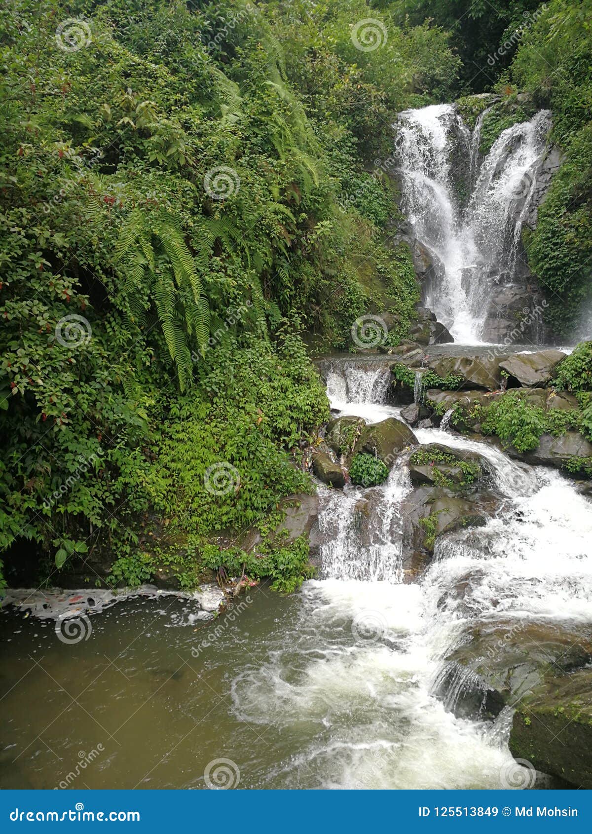 Fountain stock image. Image of landscape, forest, mountain - 125513849