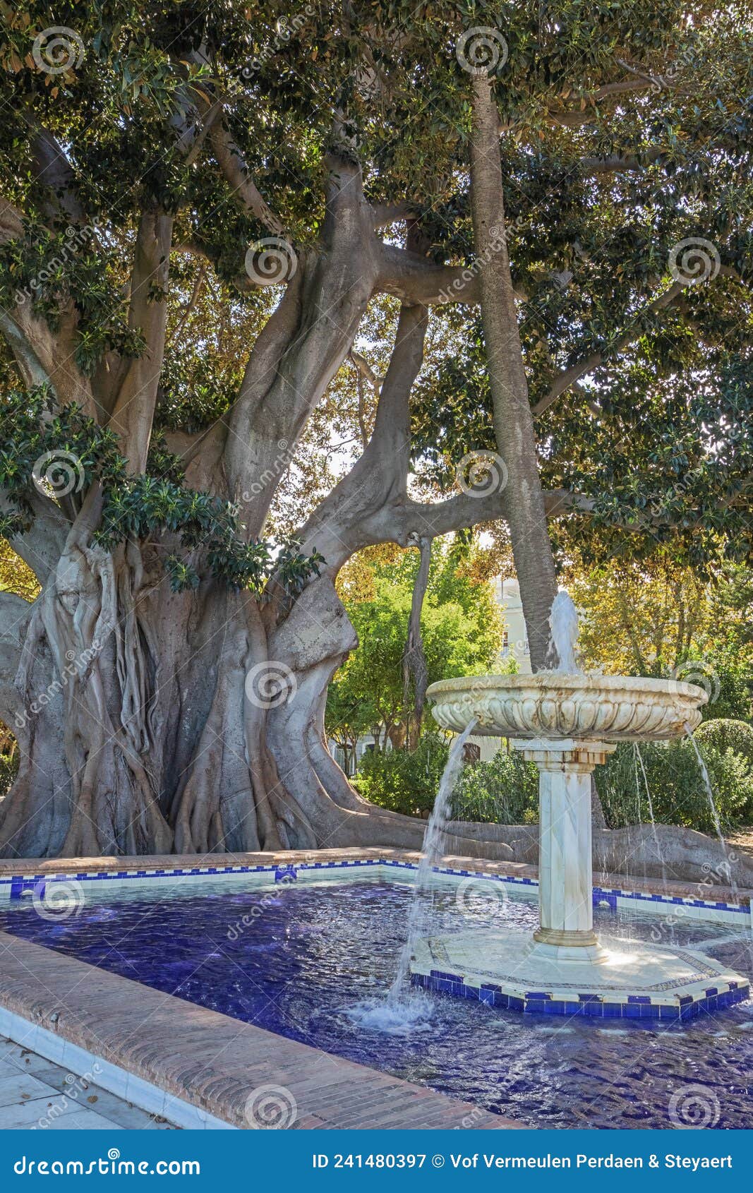 Apocada Stock Photos - Free & Royalty-Free Stock Photos from Dreamstime