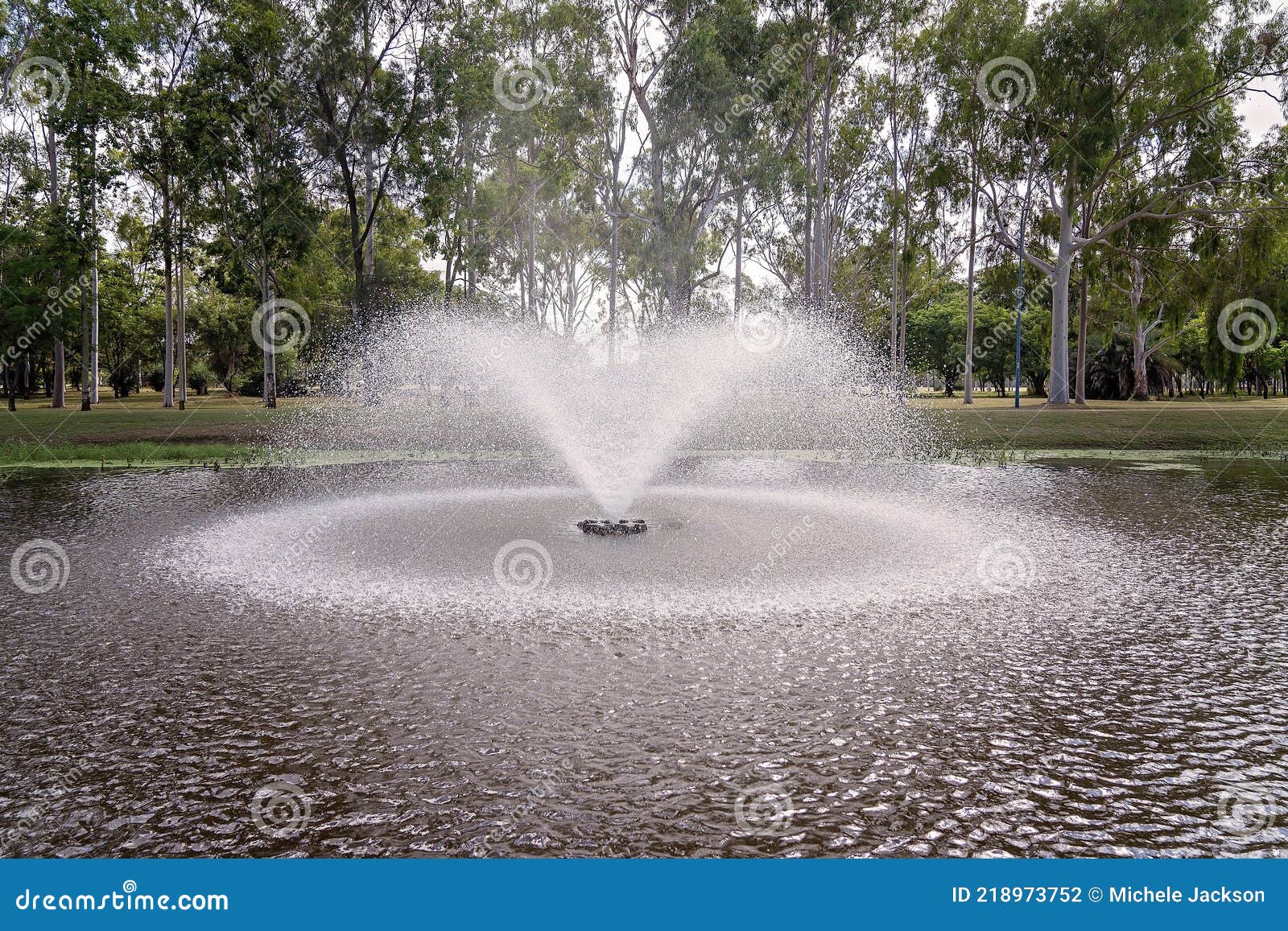 Fountain in a Lake stock photo. Image of australia, fountain - 218973752