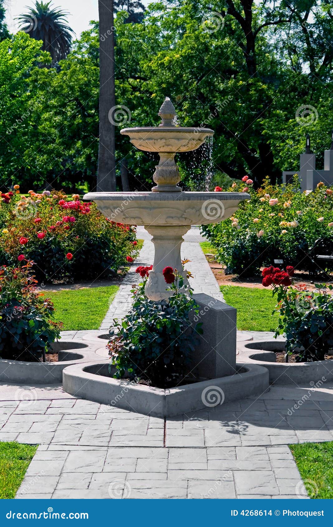 Fountain in the Middle of Rose Garden Stock Photo - Image of green ...