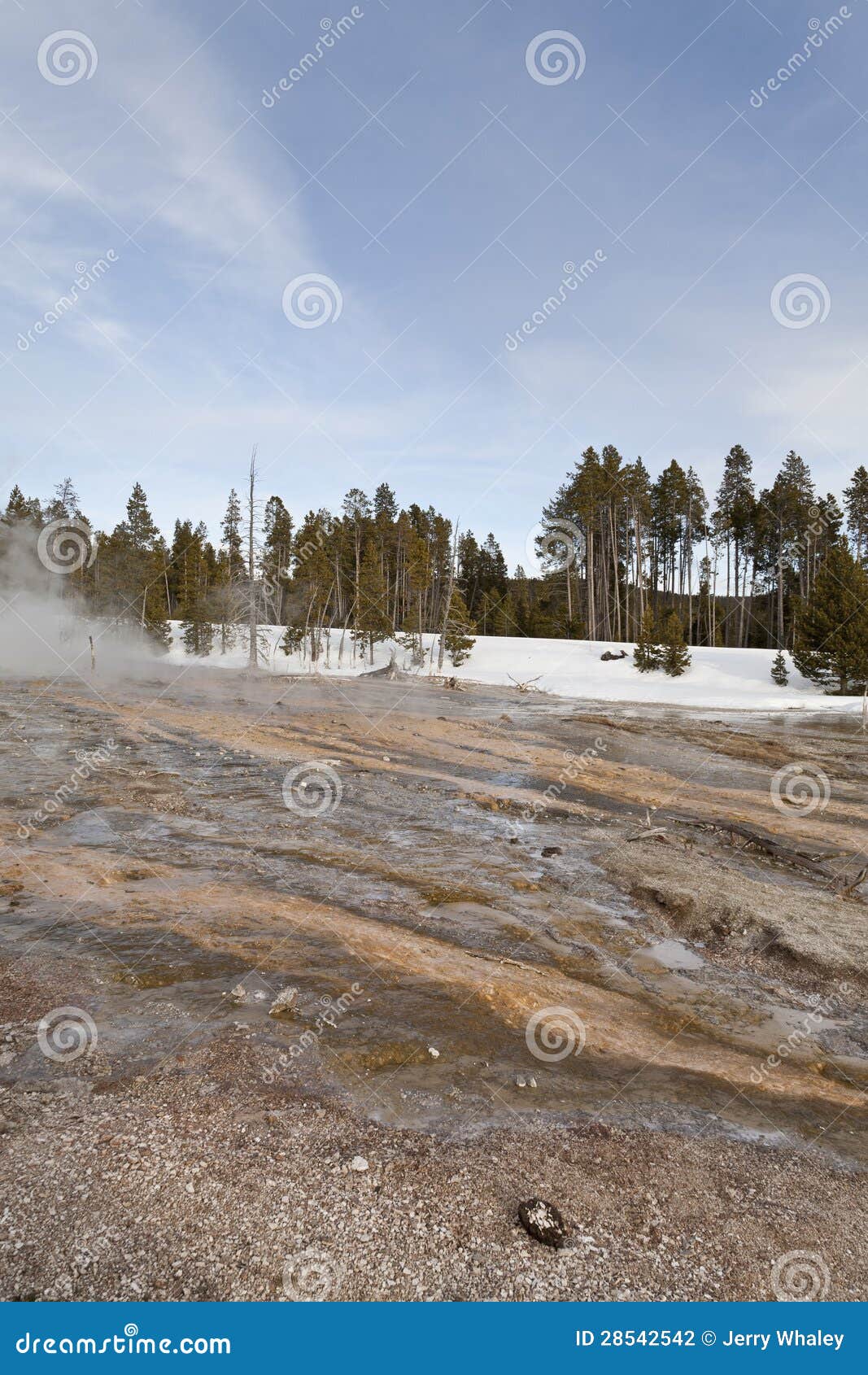 Fountain Paint Pots Area, Winter, Yellowstone NP Stock Photo - Image of ...