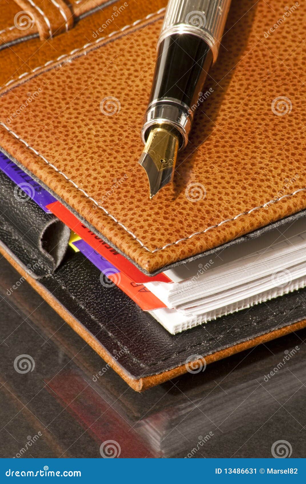 Fountain pen on agenda stock image. Image of leather - 13486631