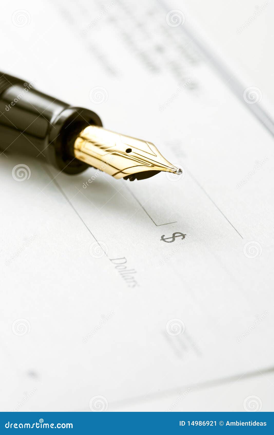Fountain Pen on Blank Check Stock Image - Image of buying, gold: 14986921
