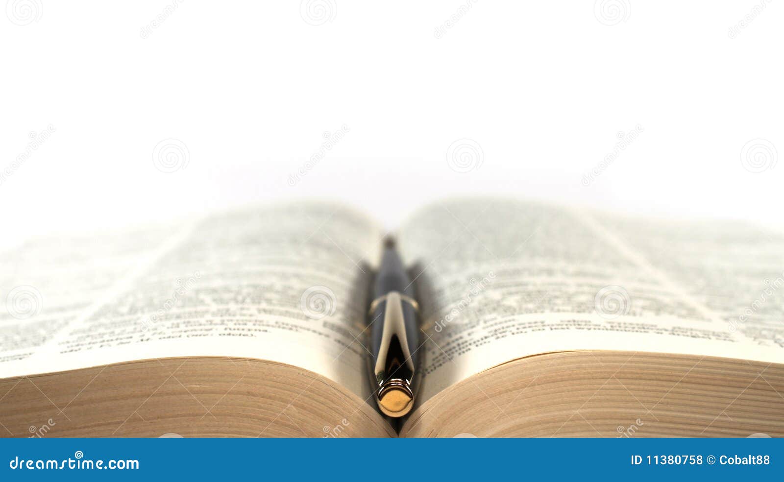 Fountain-pen on the book stock photo. Image of science - 11380758