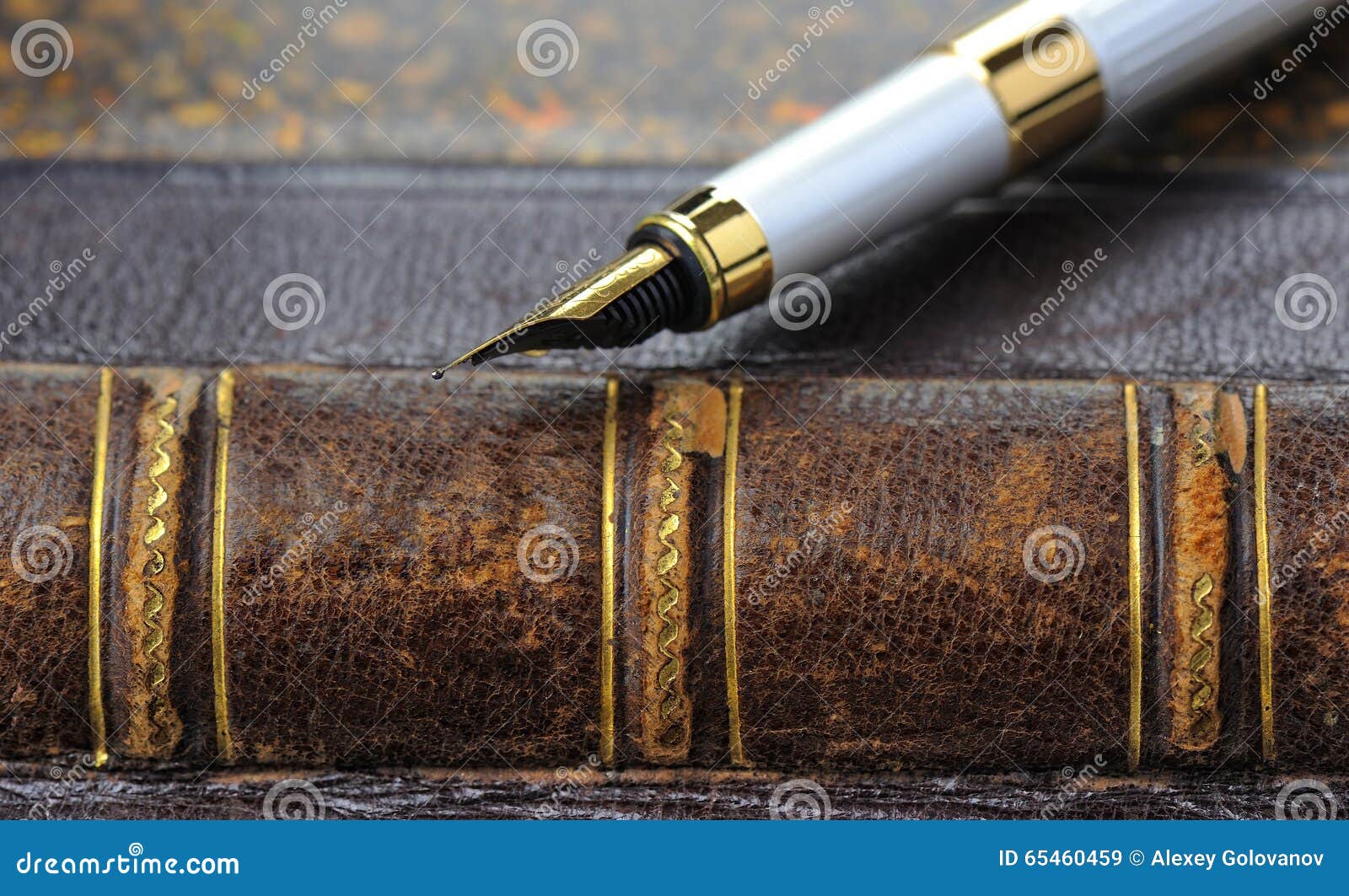Fountain Pen with a Gold Pen Lying on Old Book Stock Image - Image of ...