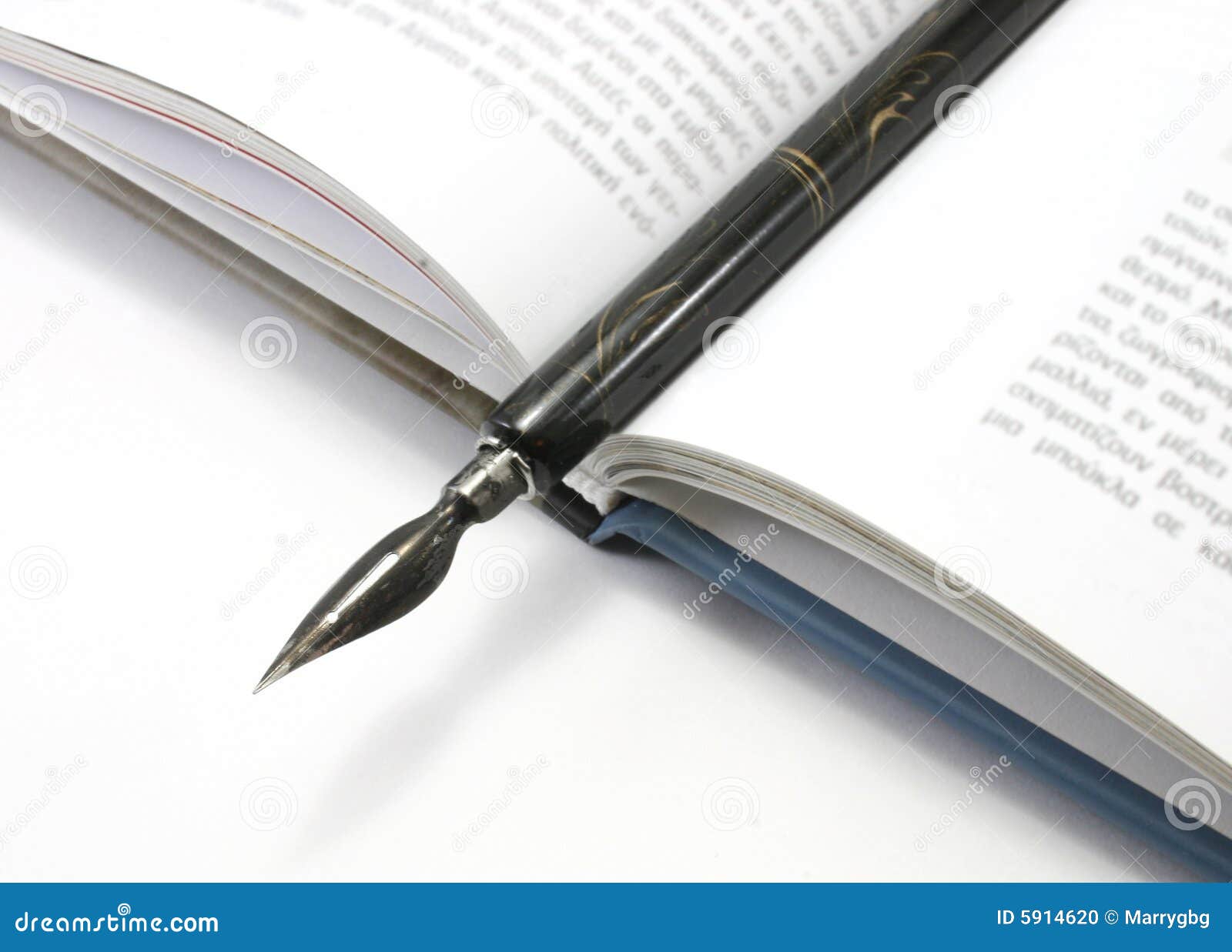 Fountain pen and open book stock photo. Image of bibliography - 5914620