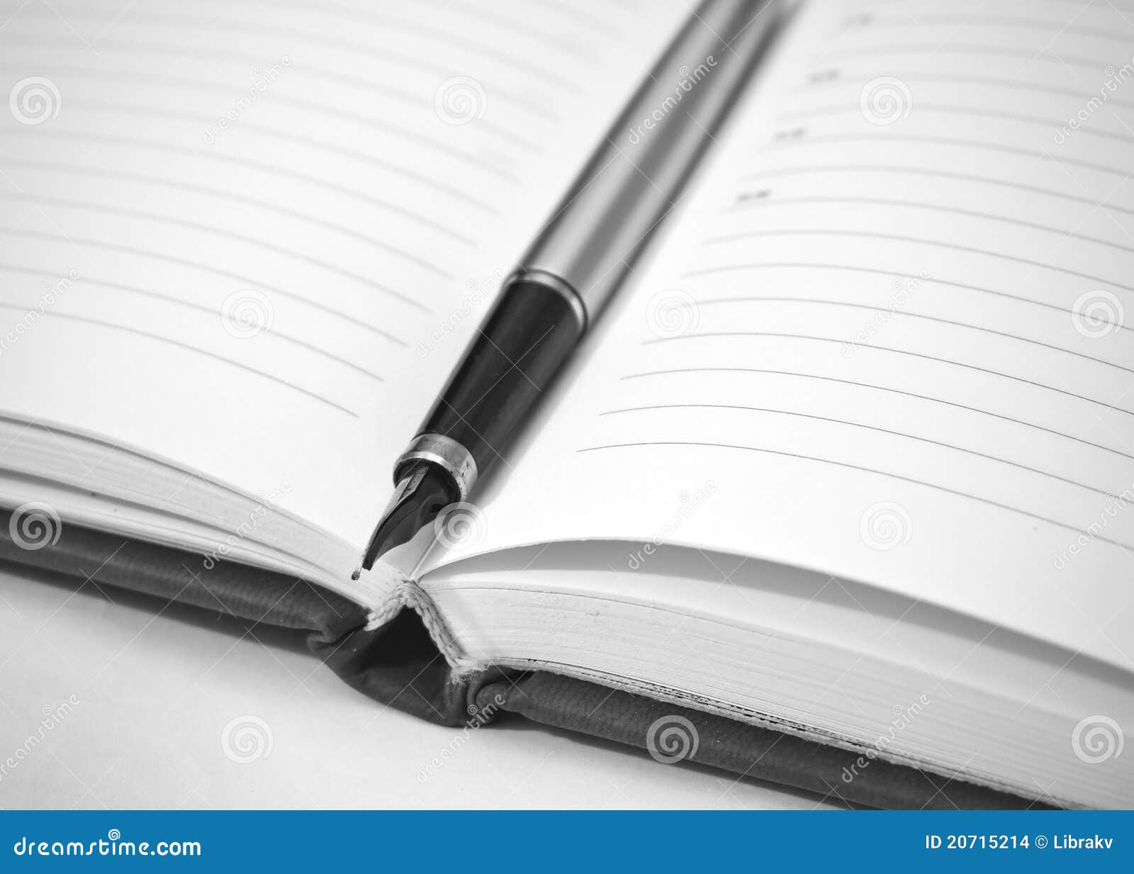 Fountain Pen on the Open Planner Stock Photo - Image of education ...