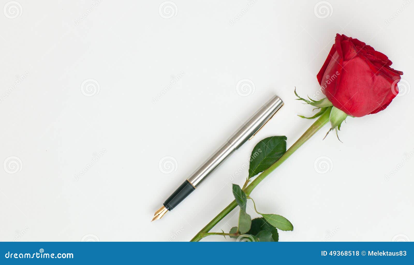 Fountain pen and rose stock photo. Image of sheet, blank - 49368518