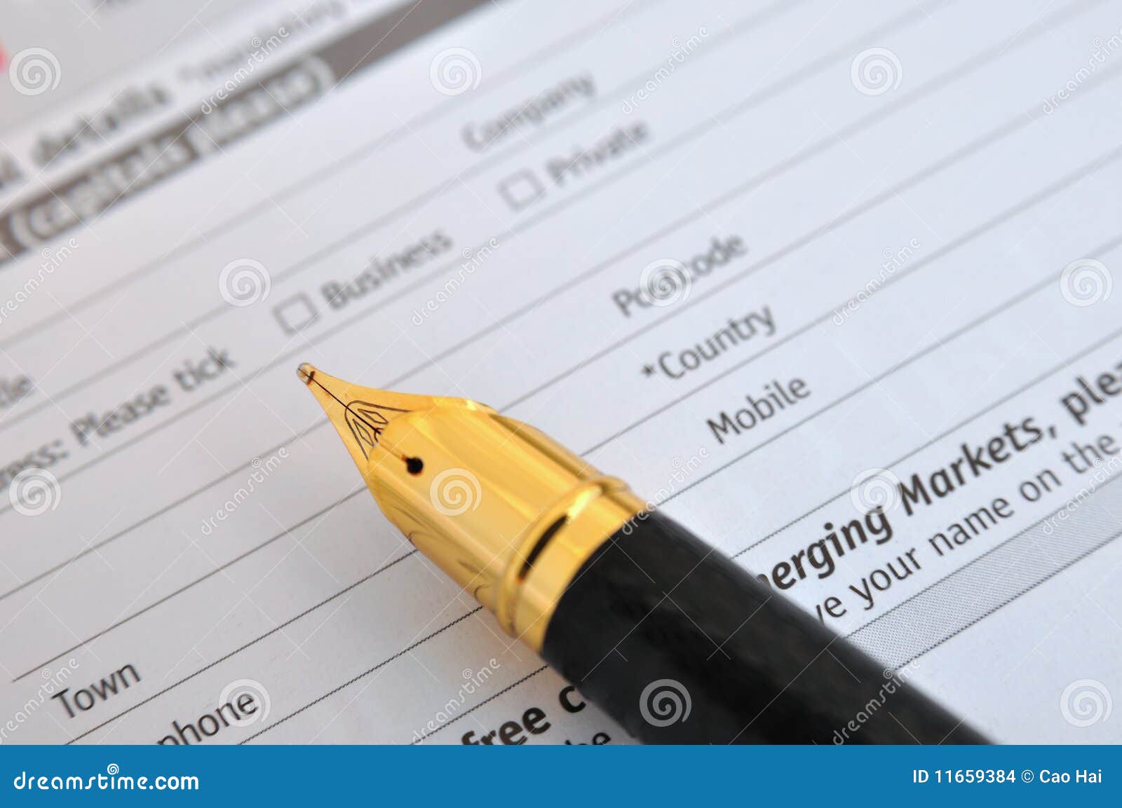 Fountain Pen and Survey Sheet Stock Photo - Image of question, fountain ...